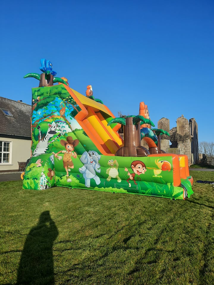 Giant Slides - Bouncy Castle Hire in Mountrath, Portlaoise, Tipperary ...