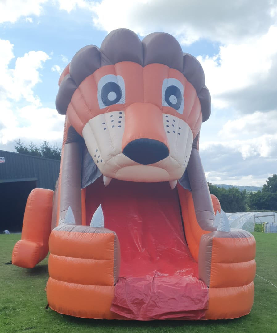 50 ft Lion OB With Large Slide..... HIRE 1 DAY AND GET SECOND DAY FREE ...