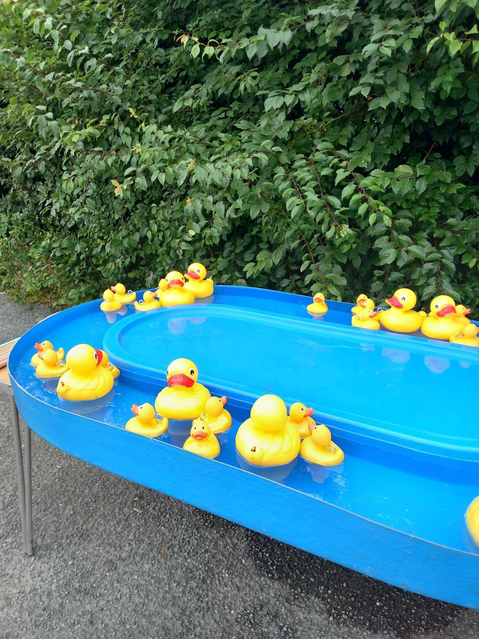 Hook a Duck Hire