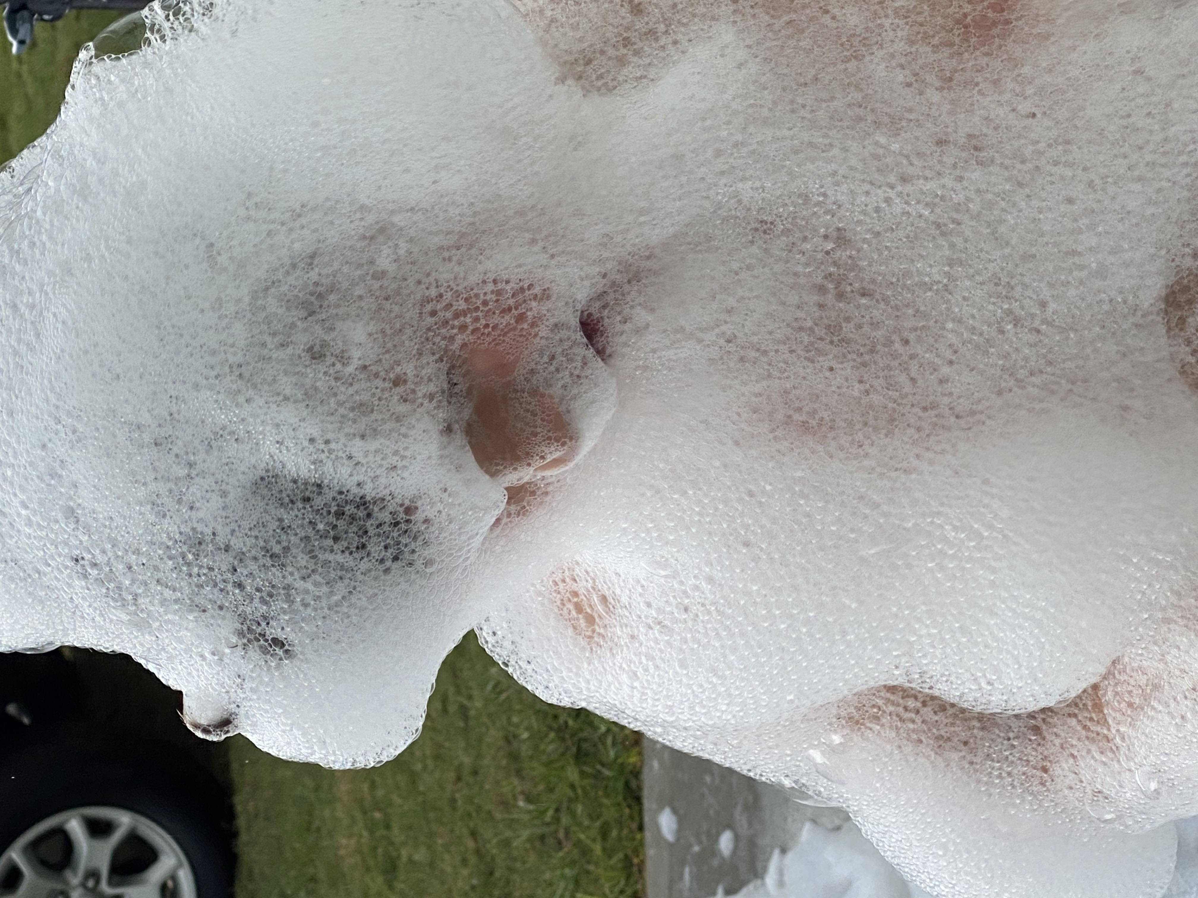 FOAM Party - Bounce houses. Party rentals, Inflatables in Easley ...