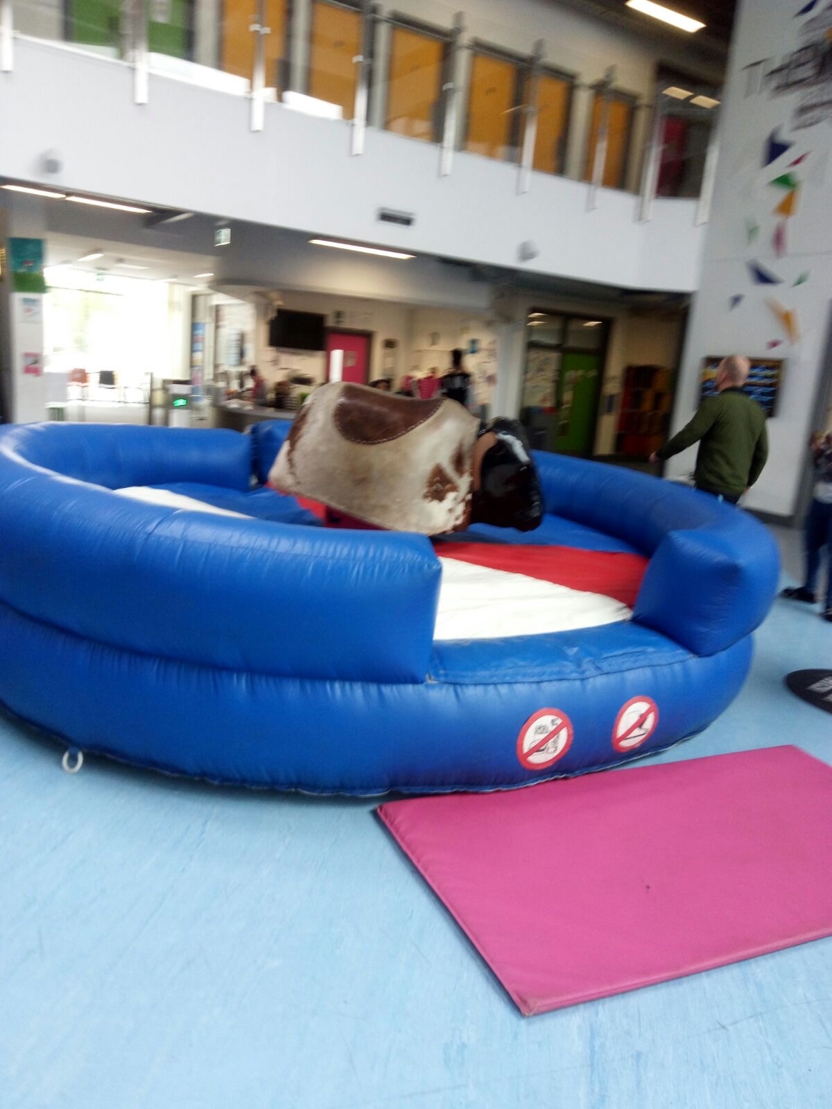 Rodeo bull hire west midlands