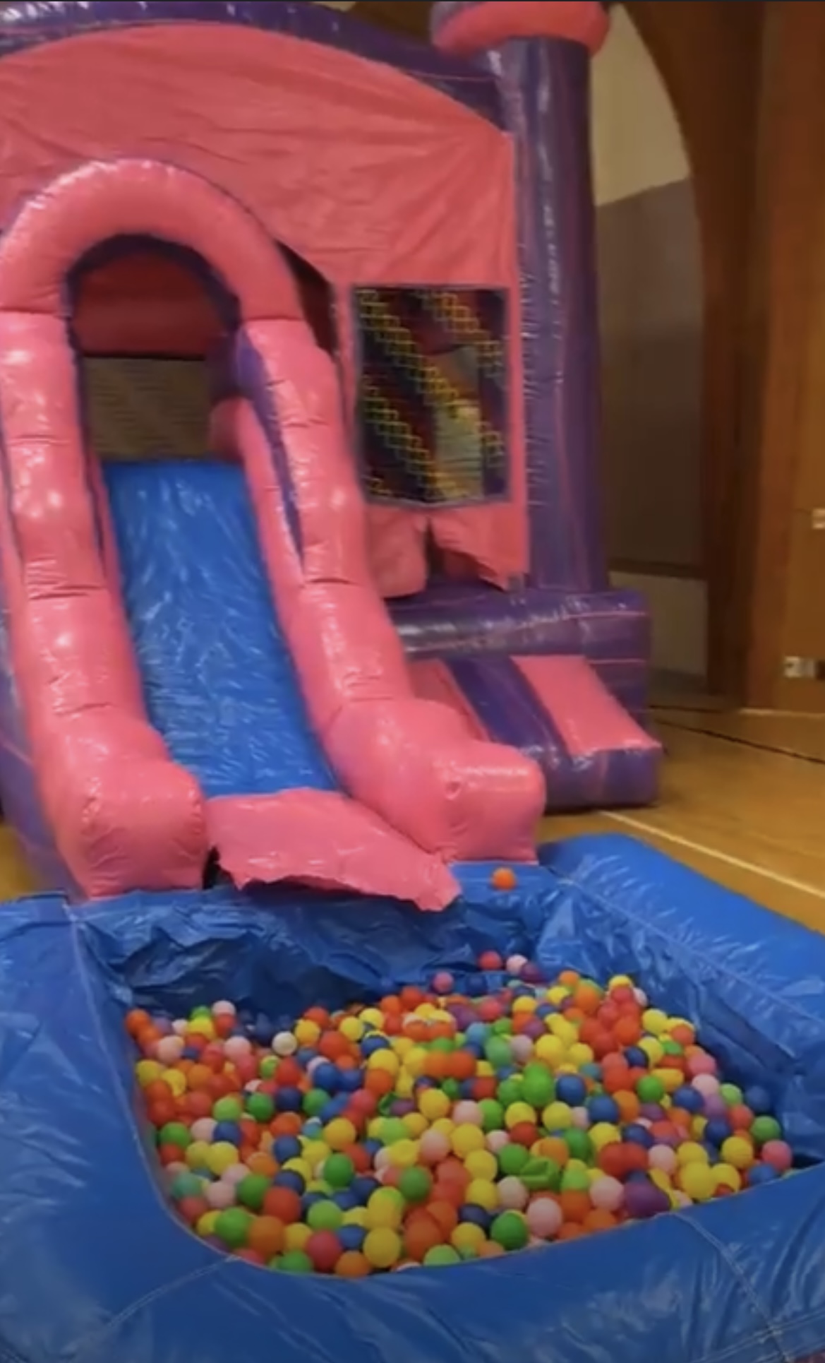 All Bounce House - Party Rentals in Albertson | 252 Jumper Party Rental