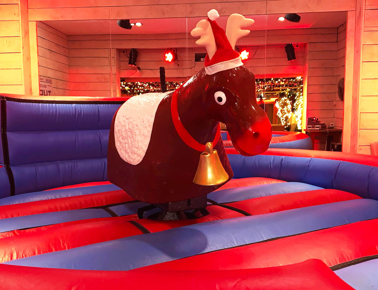 Rodeo Reindeer Hire | UK Entertainment Hire