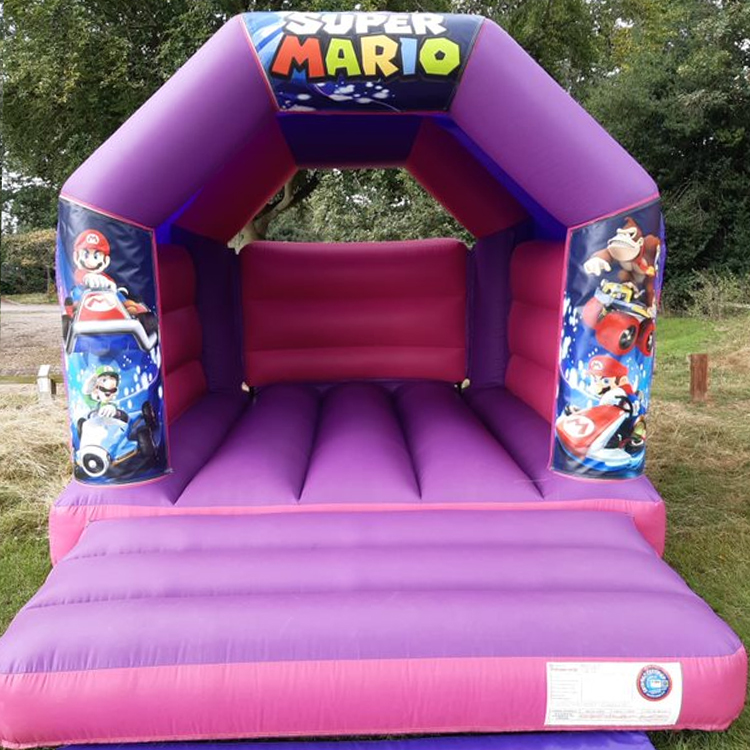 Mario Pink Bouncy Castle - Inflatable, Bouncy Castle, Entertainment ...