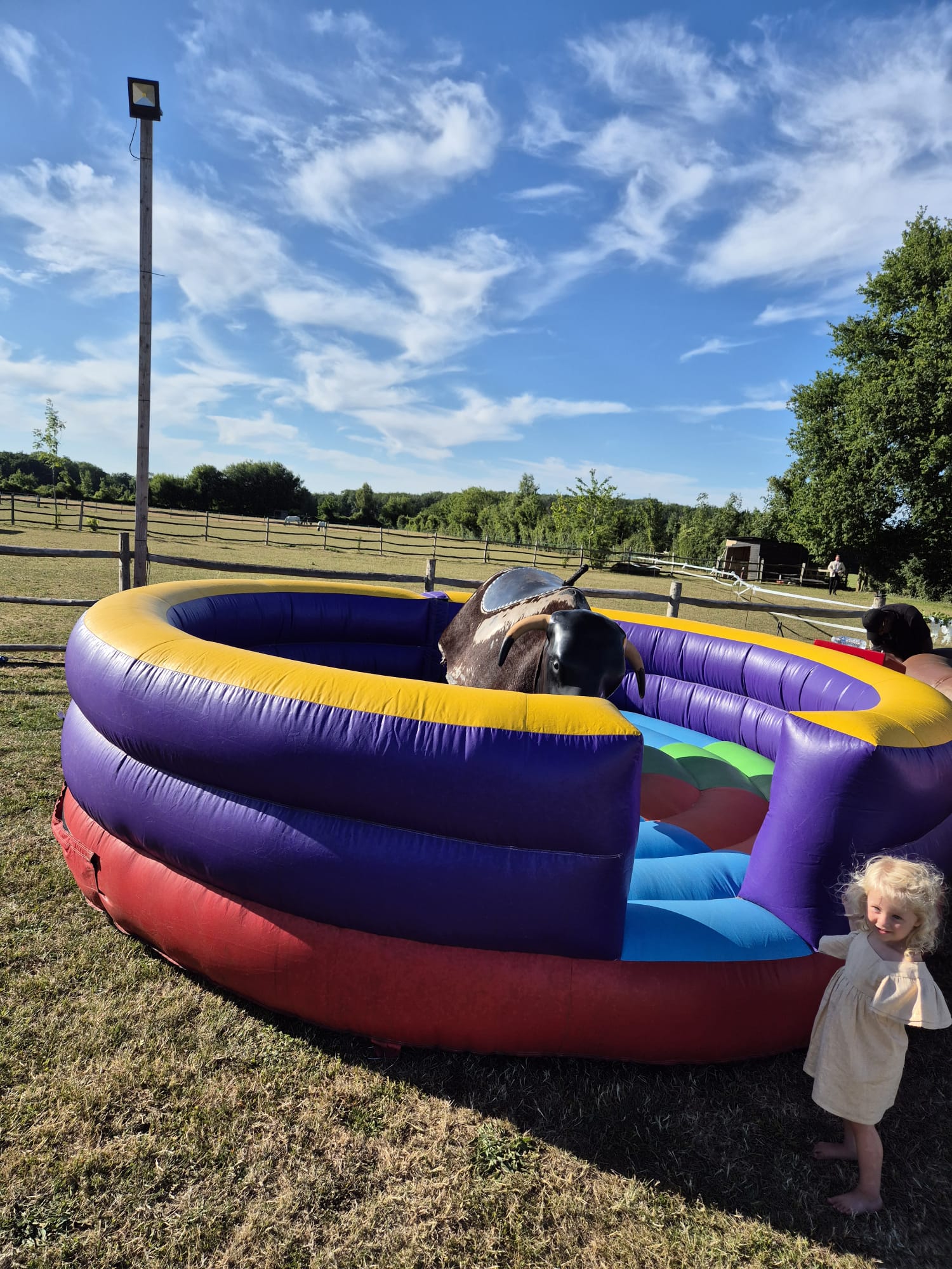 Bucking Bronco & Rodeo Bull Hire For Schools & Colleges