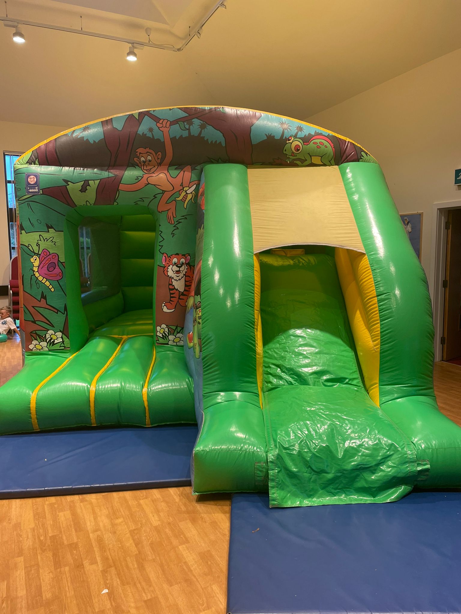 Jungle Fun Front Slide - Bouncy Castle Hire in Milton Keynes | The ...