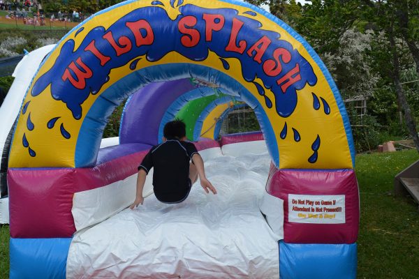 Double Lane Wild Splash Slip & Slide (Wet Play Only) - Bouncy Castle ...