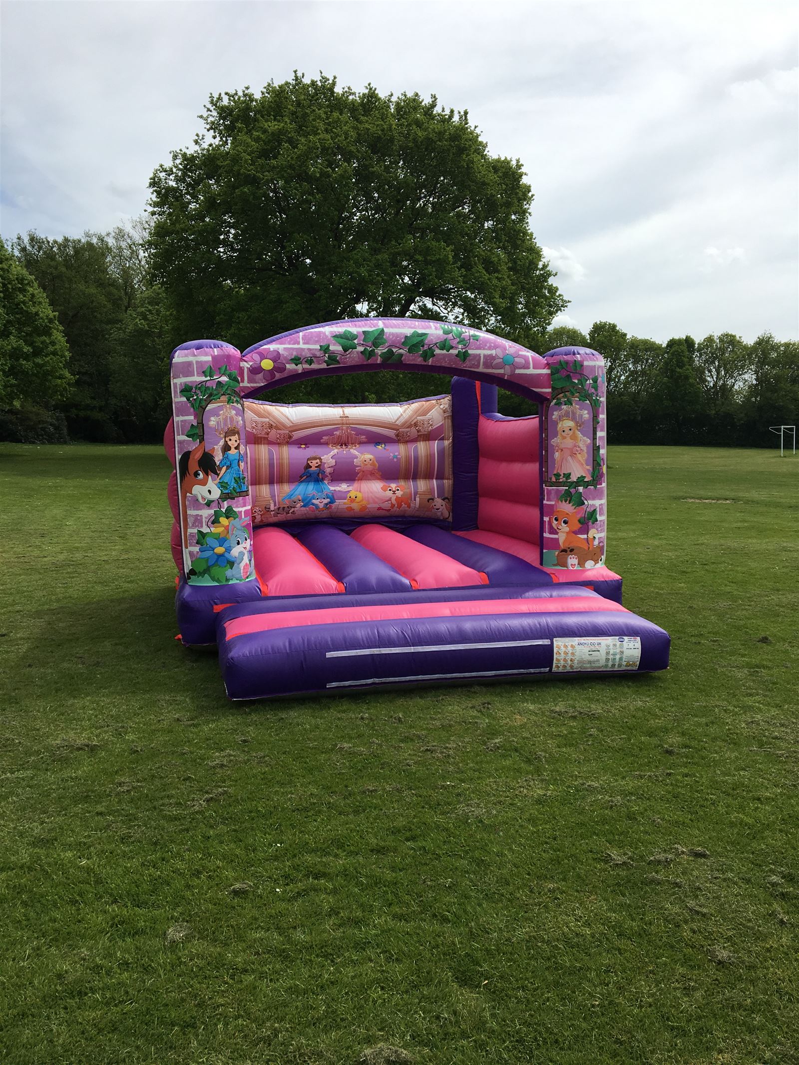 12ft x 15ft Enchanted Princess Bouncy Castle - Bouncy Castle Hire in ...