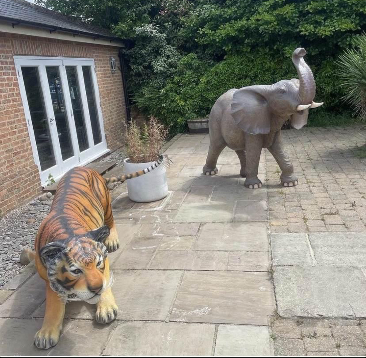 Life Size Tiger Prop