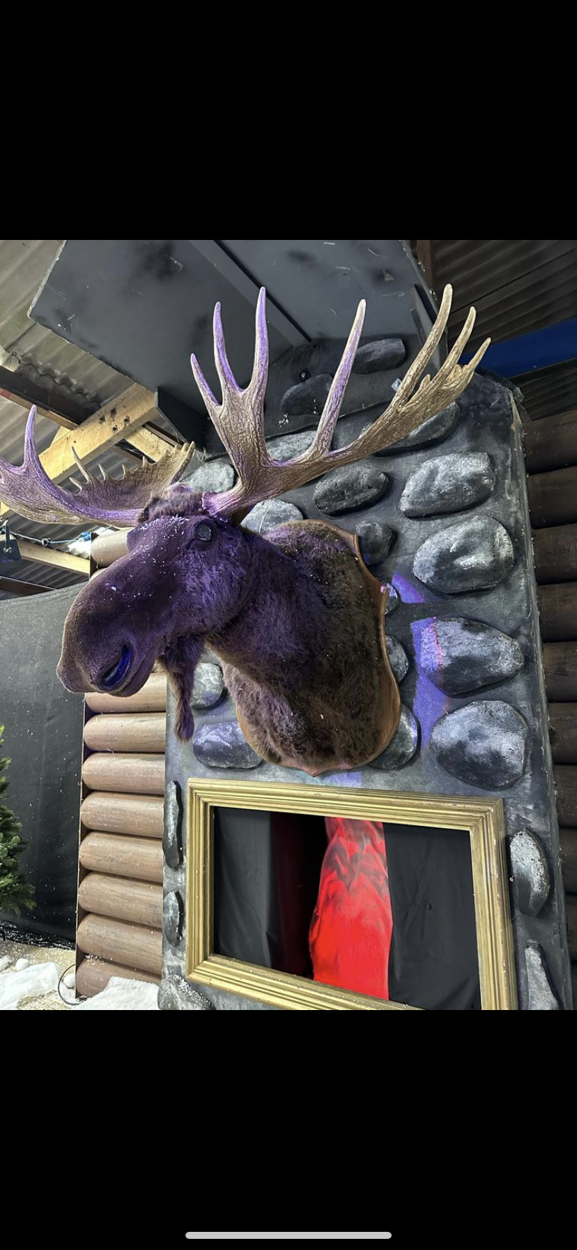Moose - Bouncy castle & Fairground ride hire, corporate games hire in ...