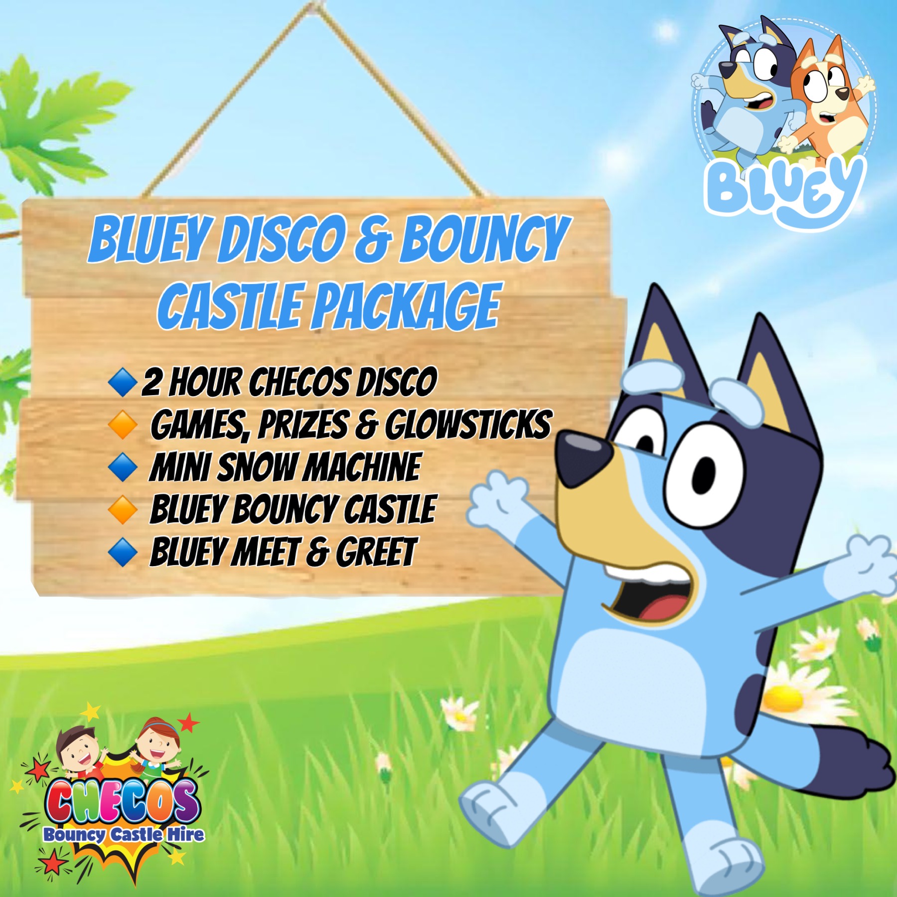 Bluey Meet & Greet Party Package - Bouncy Castle Hire & Children's ...