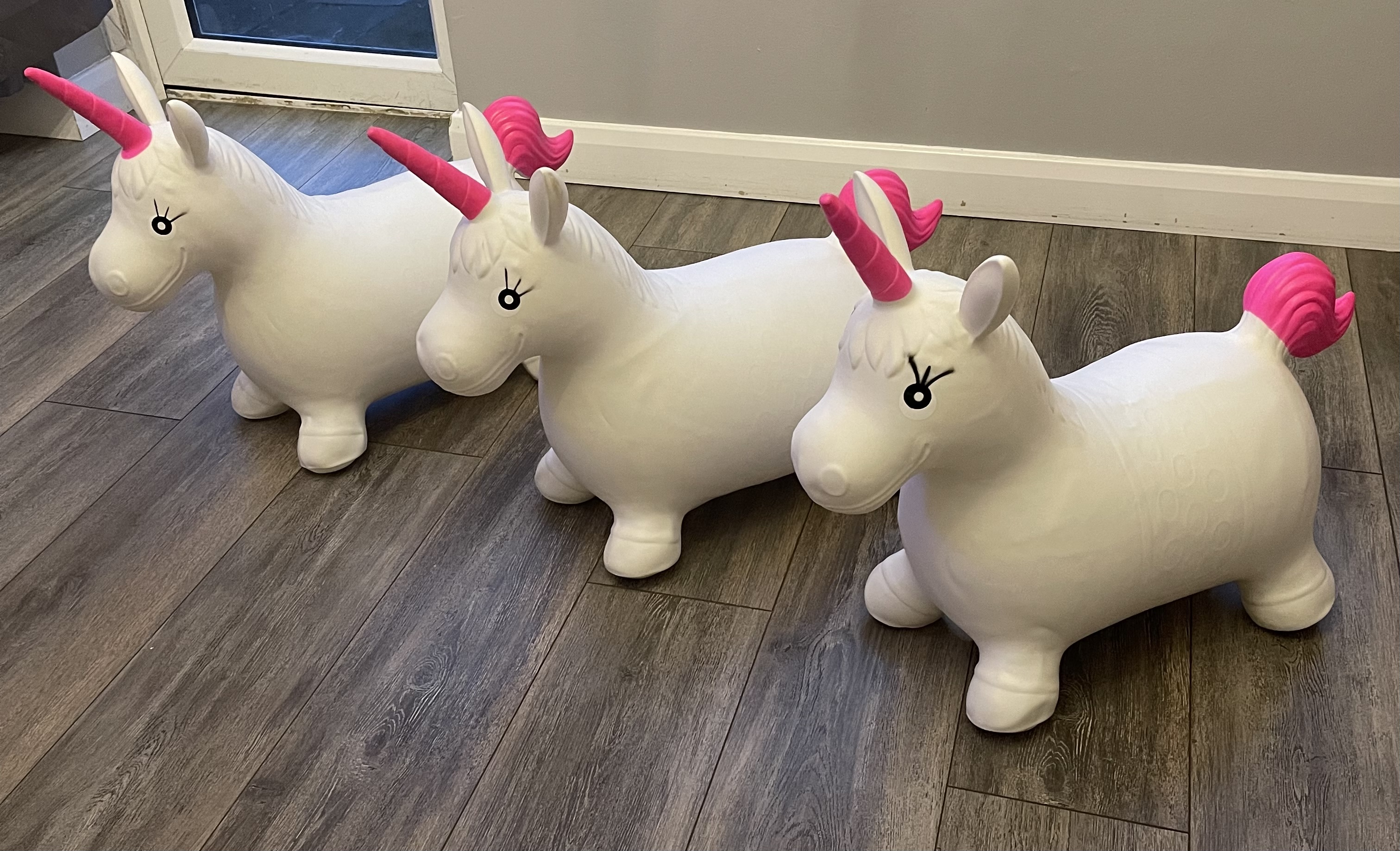 Extras | Party Extras Hire | Inflatable Party Extras