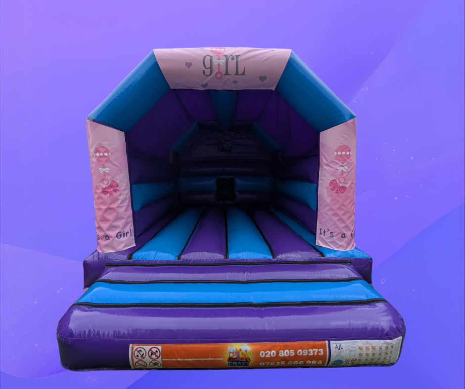 Purple & Blue Castle - Inflatables Hire in London, greenwich , charlton ...