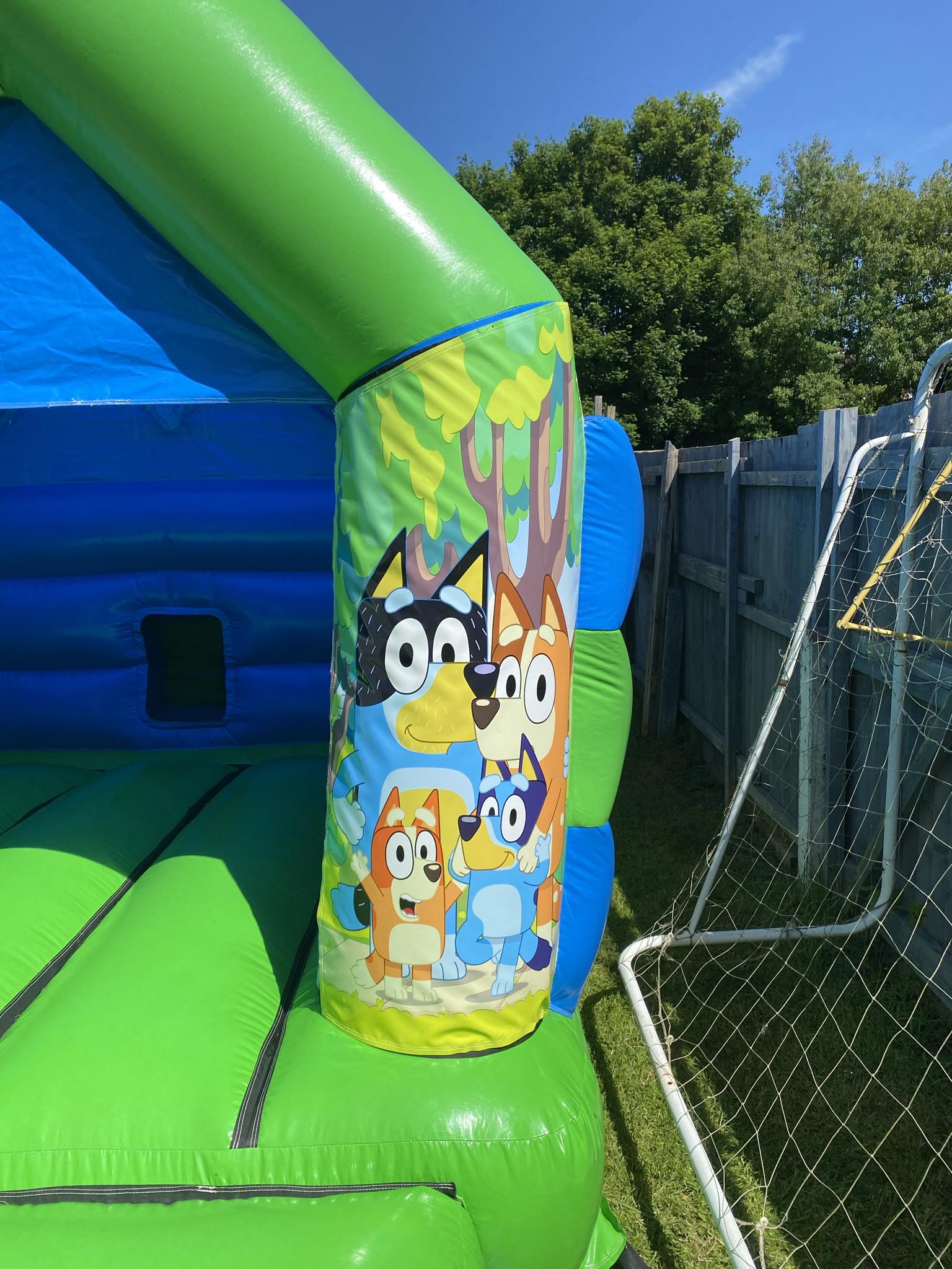 Blue/Green Bluey themed bouncy castle - Bouncy castle hire in Coventry ...