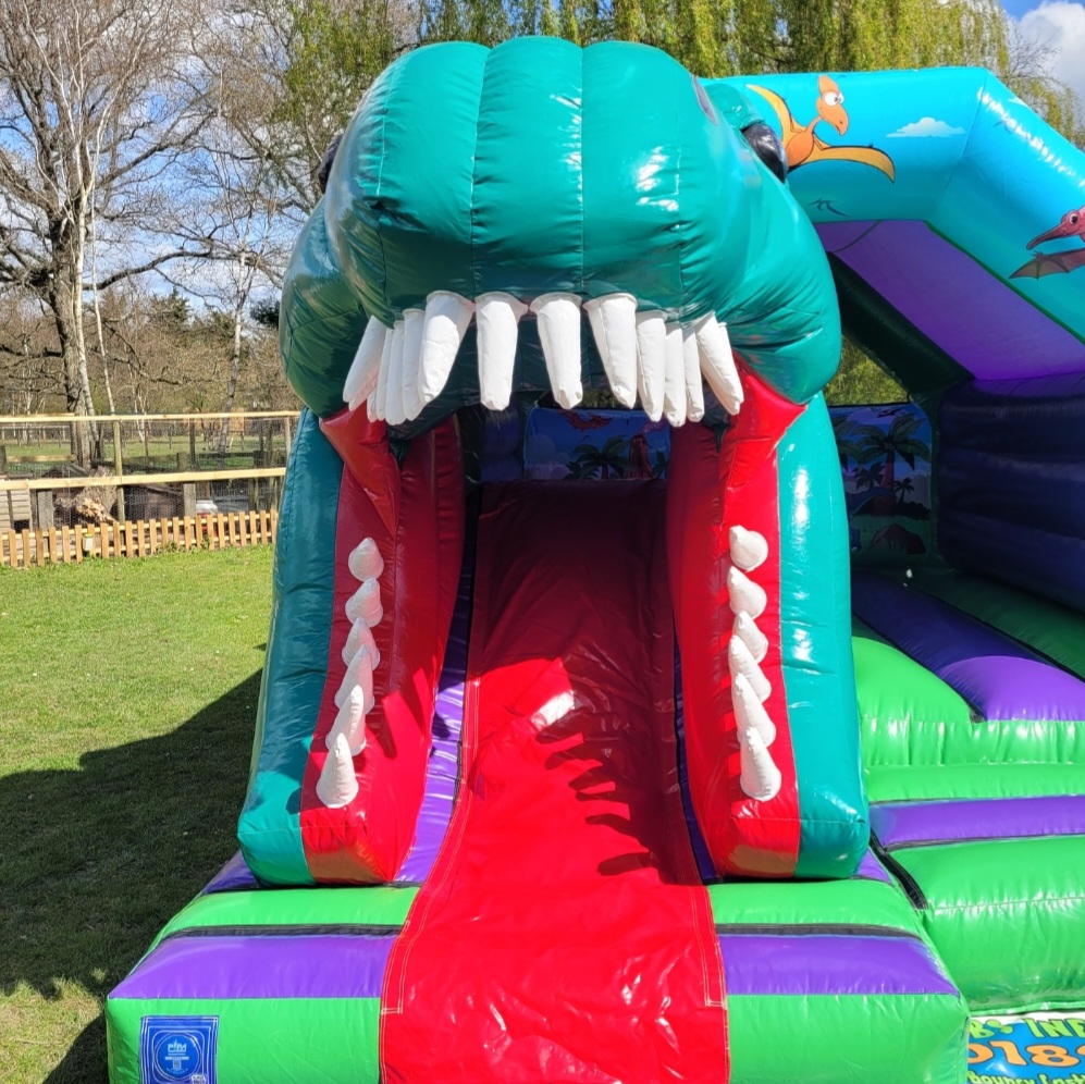 Dinosaur Bounce and Slide - Bouncy Castle Hire in Crowborough ...