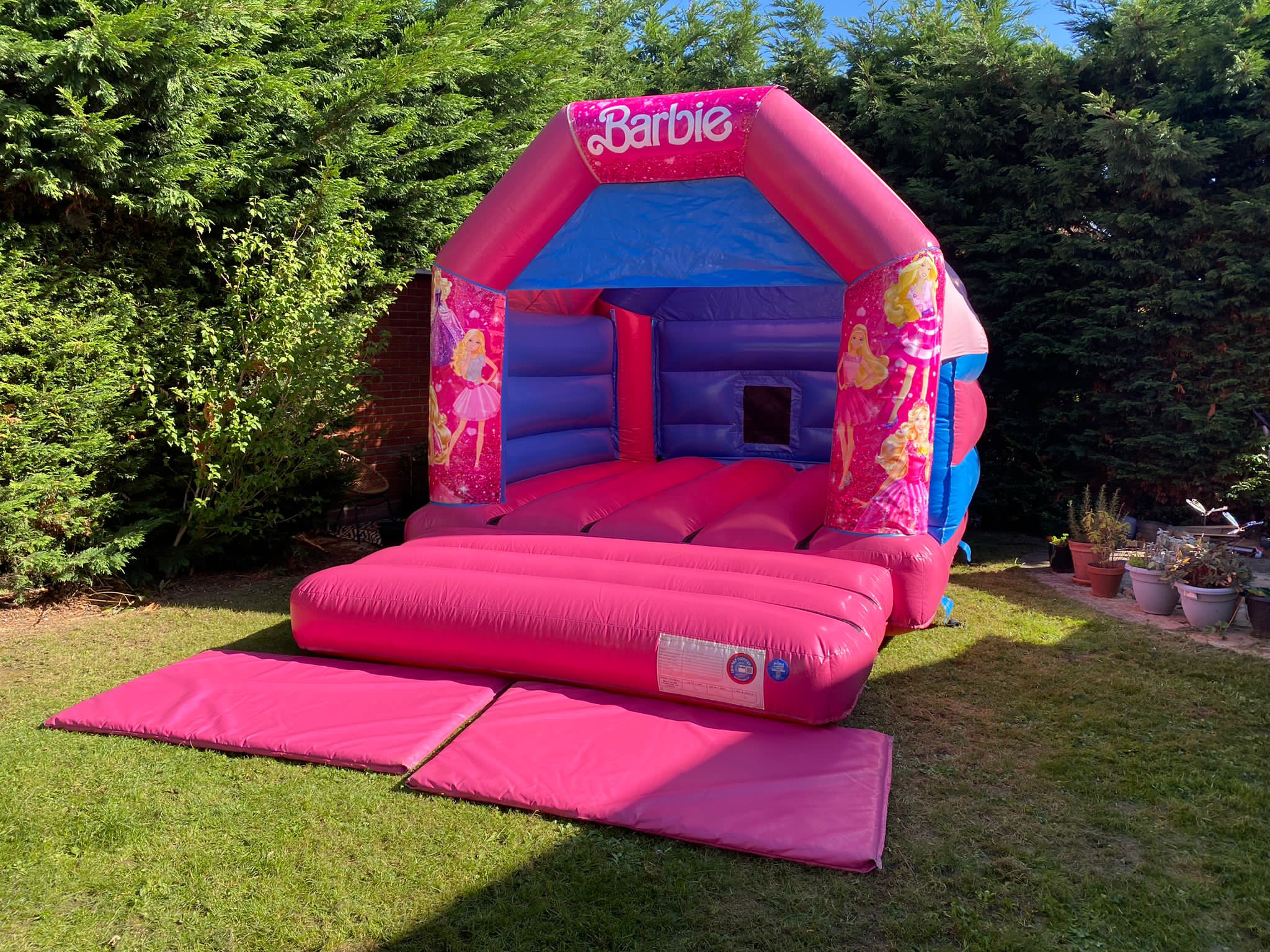 15x11 Pink And Blue Gloss Castle Selectable Theme Bouncy Castle 15x11-pink-and-blue-gloss-castle-selectable-theme-bouncy-castle