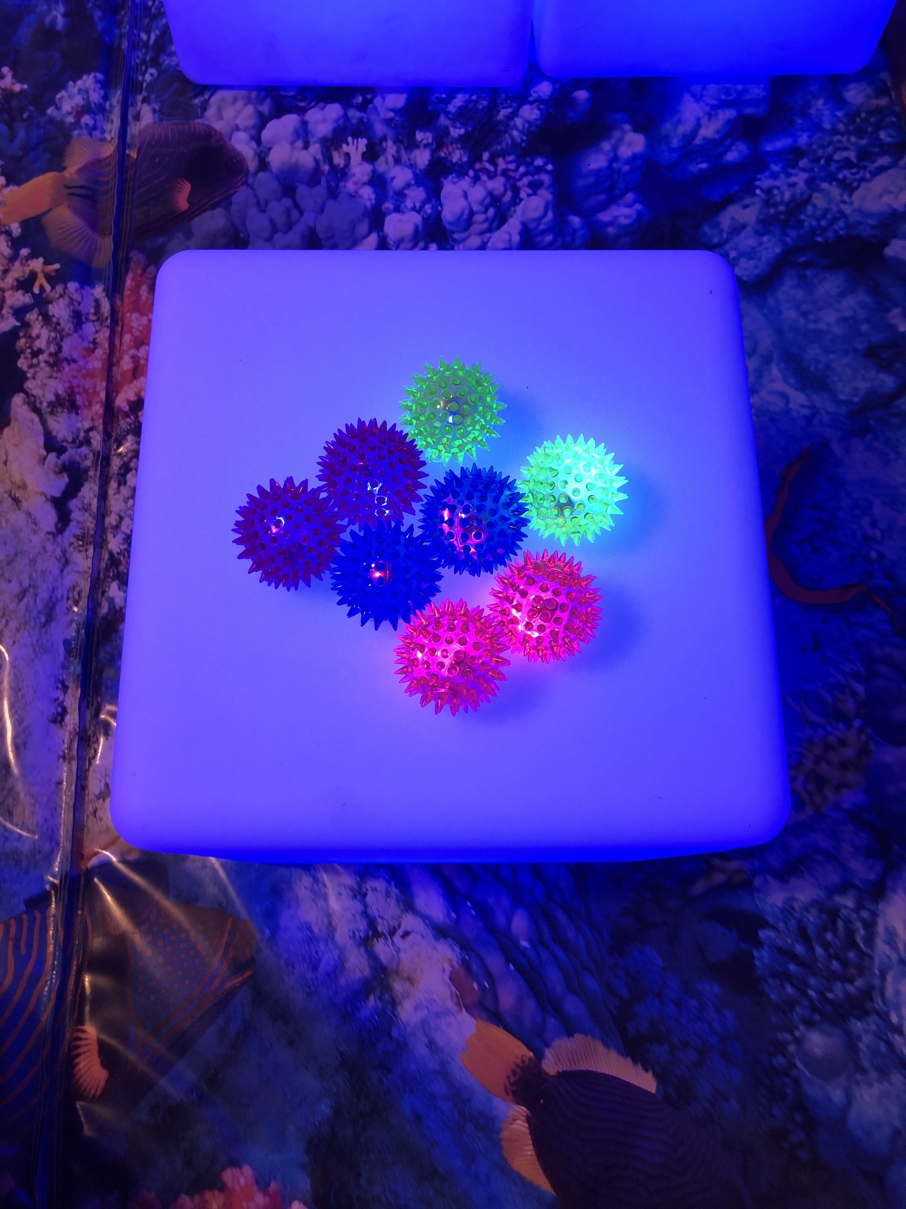 Light Up Sensory Toys - Free Sensory Toys | Online Toy Shop | Popular ...