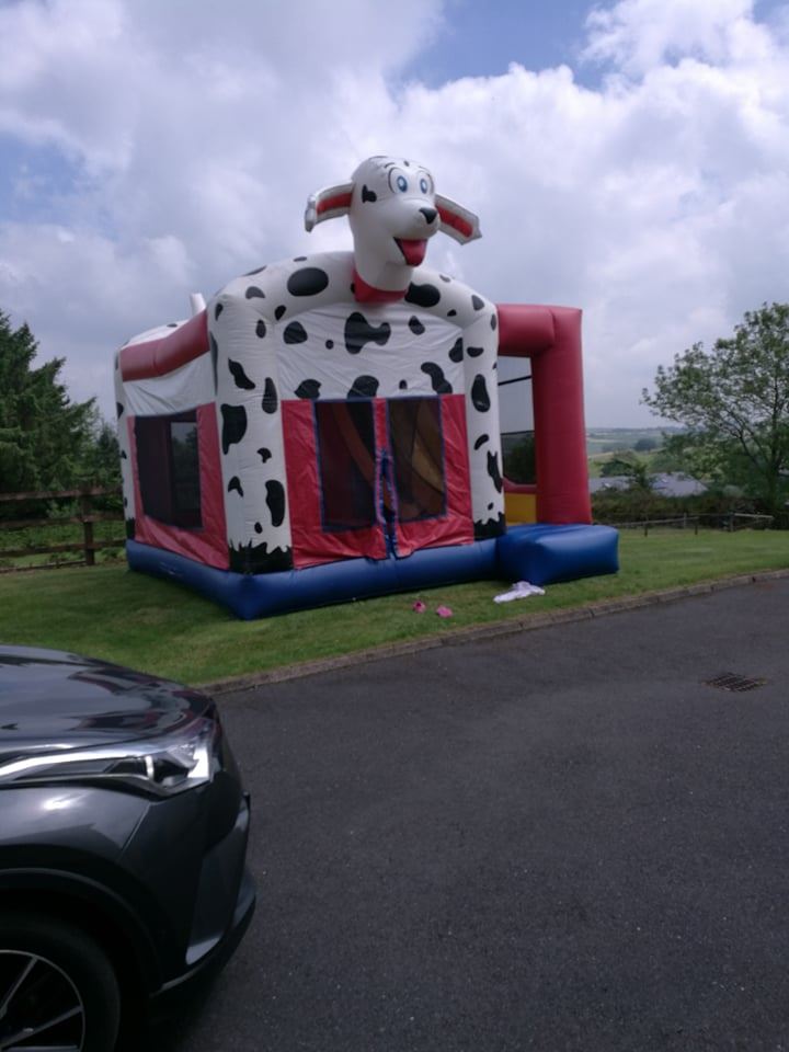 Puppy Castle - Ice-Cream van, Bouncy Castle Hire in Macroom ...