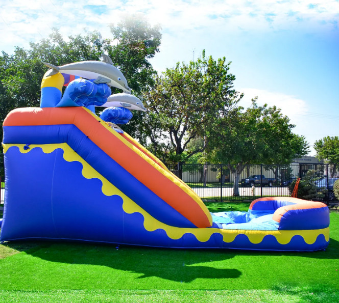 14ft. Dolphin Slide - Inflatable rentals in FL | Sebastian Inflatables