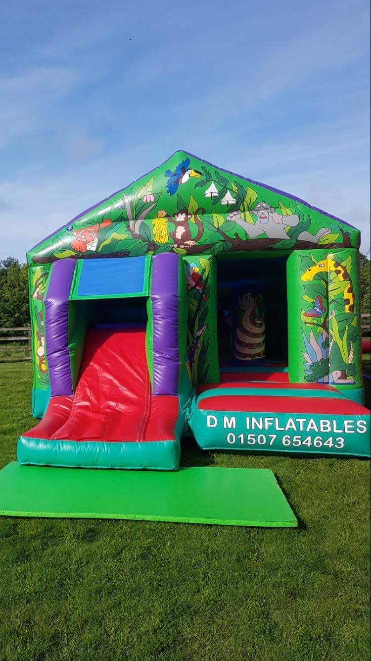 Jungle Theme Bouncy Castle & Slide - Bouncy Castle Hire in Louth ...