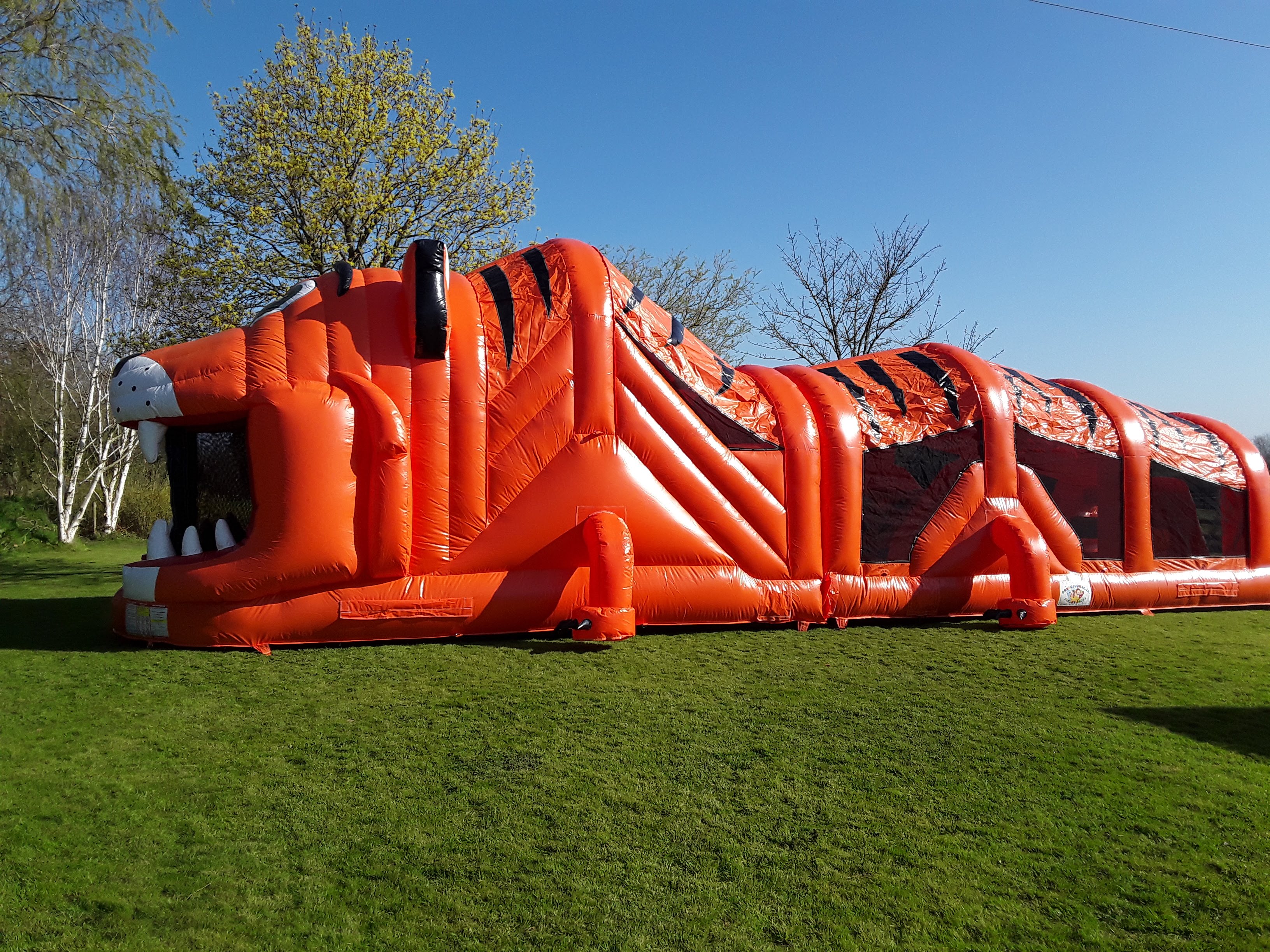 Tabby the Tiger High Slide Obstacle Course - Hire in Kilkenny