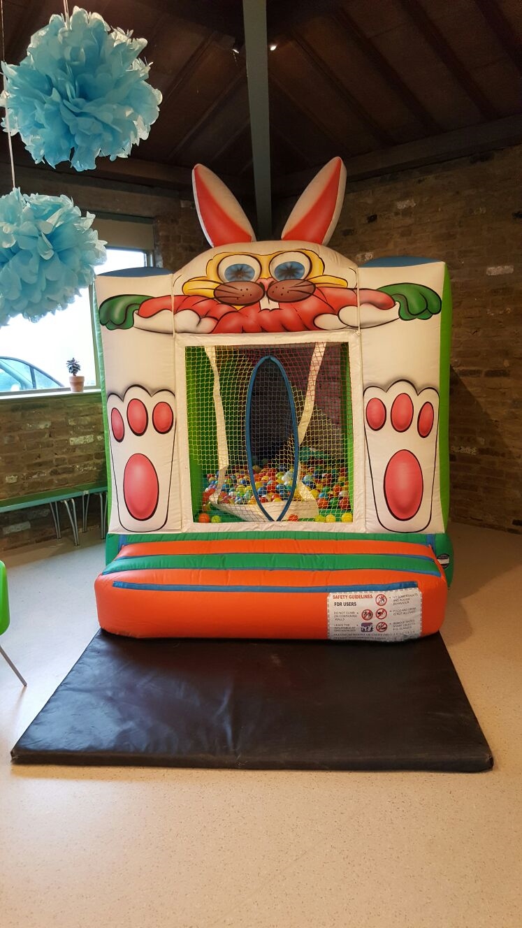 Peter Rabbit Ball Pond hire - Rodeo Bull Hire in Essex, London ...