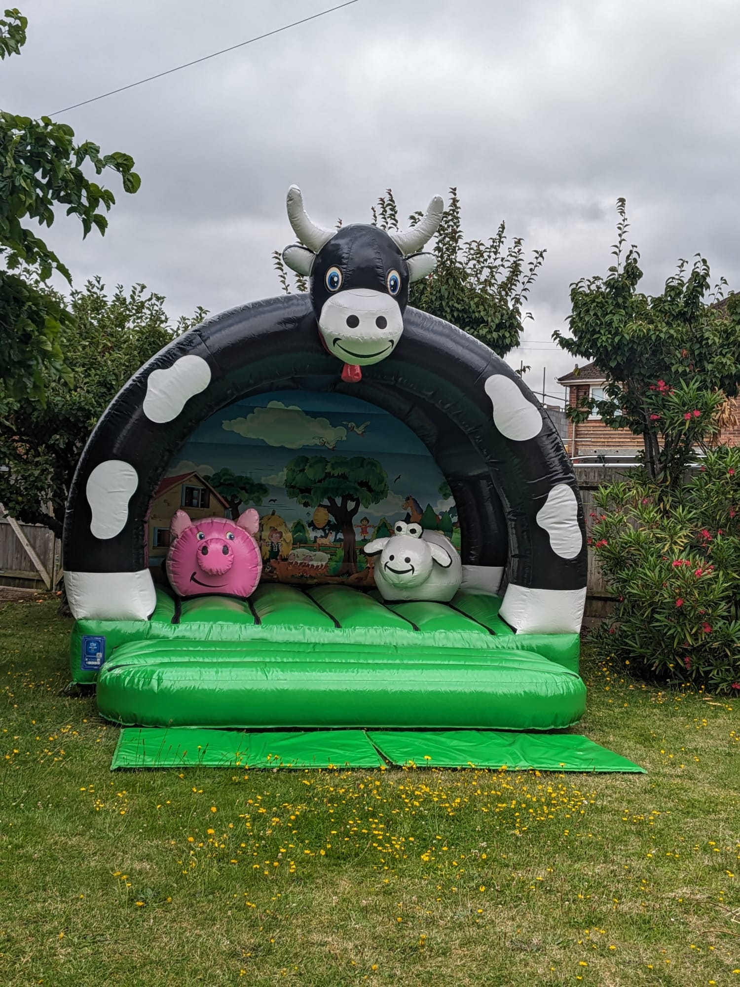 All Inflatables - Hire in Hersham, Walton on Thames, Weybridge, Molesey ...
