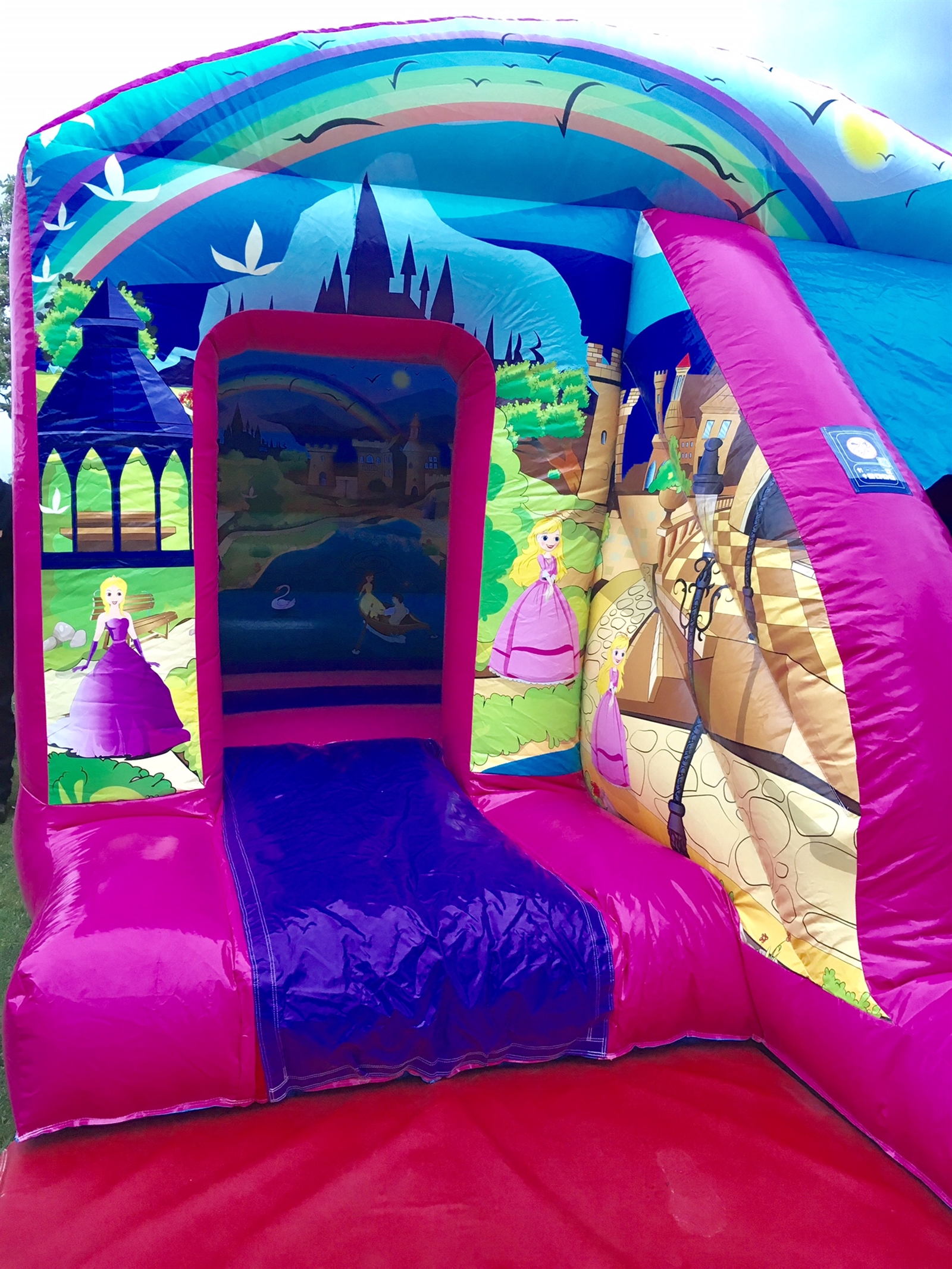 Princess Bounce & Slide - Bouncy castle & Fairground ride hire ...
