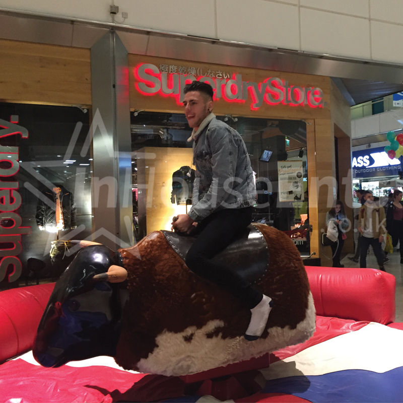 Bucking Bronco / Rodeo Bull - Bouncy Castles & Inflatable Games in ...