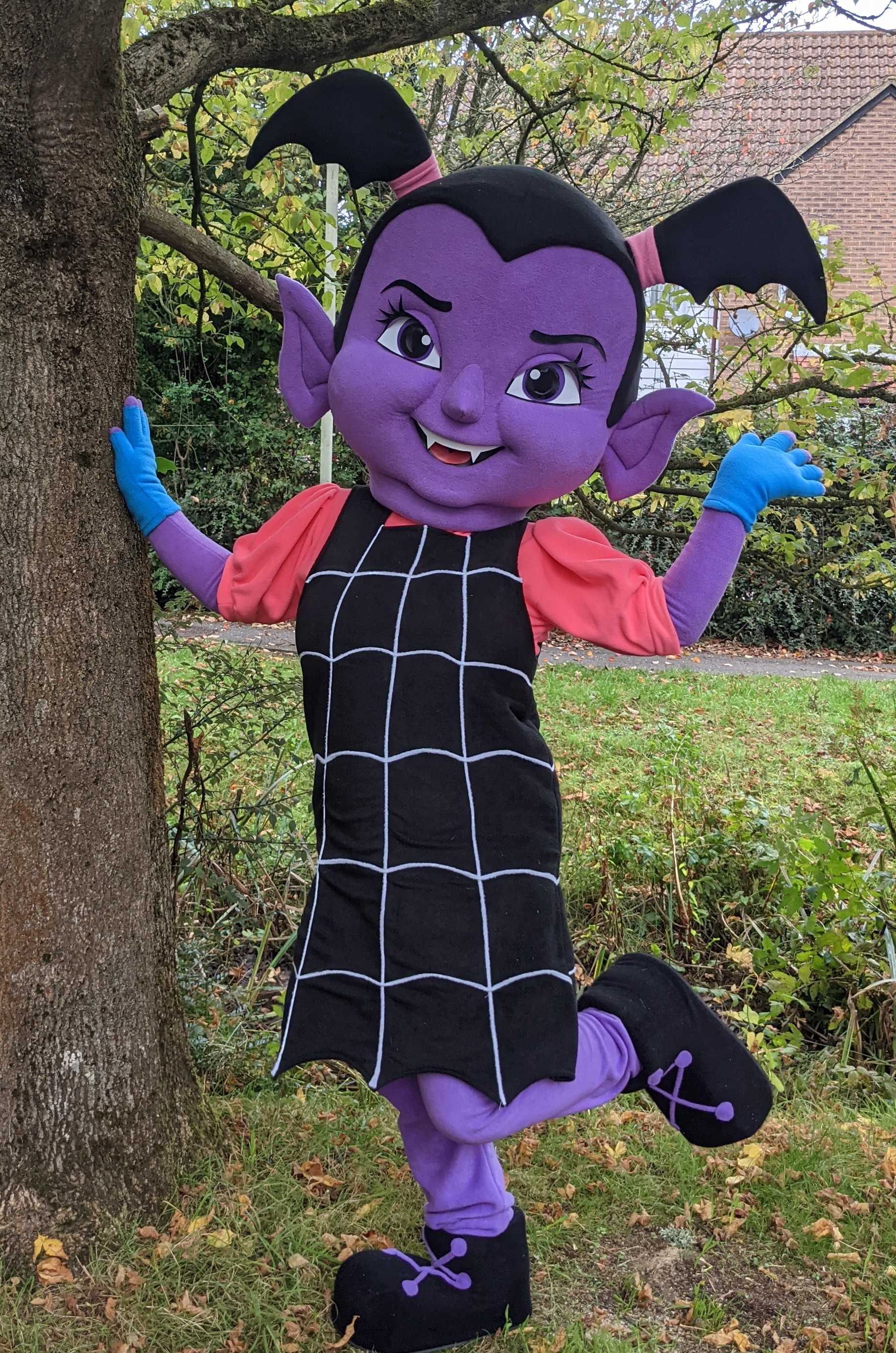 Mascot Appearances - Bouncy Castle Hire in Ashford, Aldington, Appledore