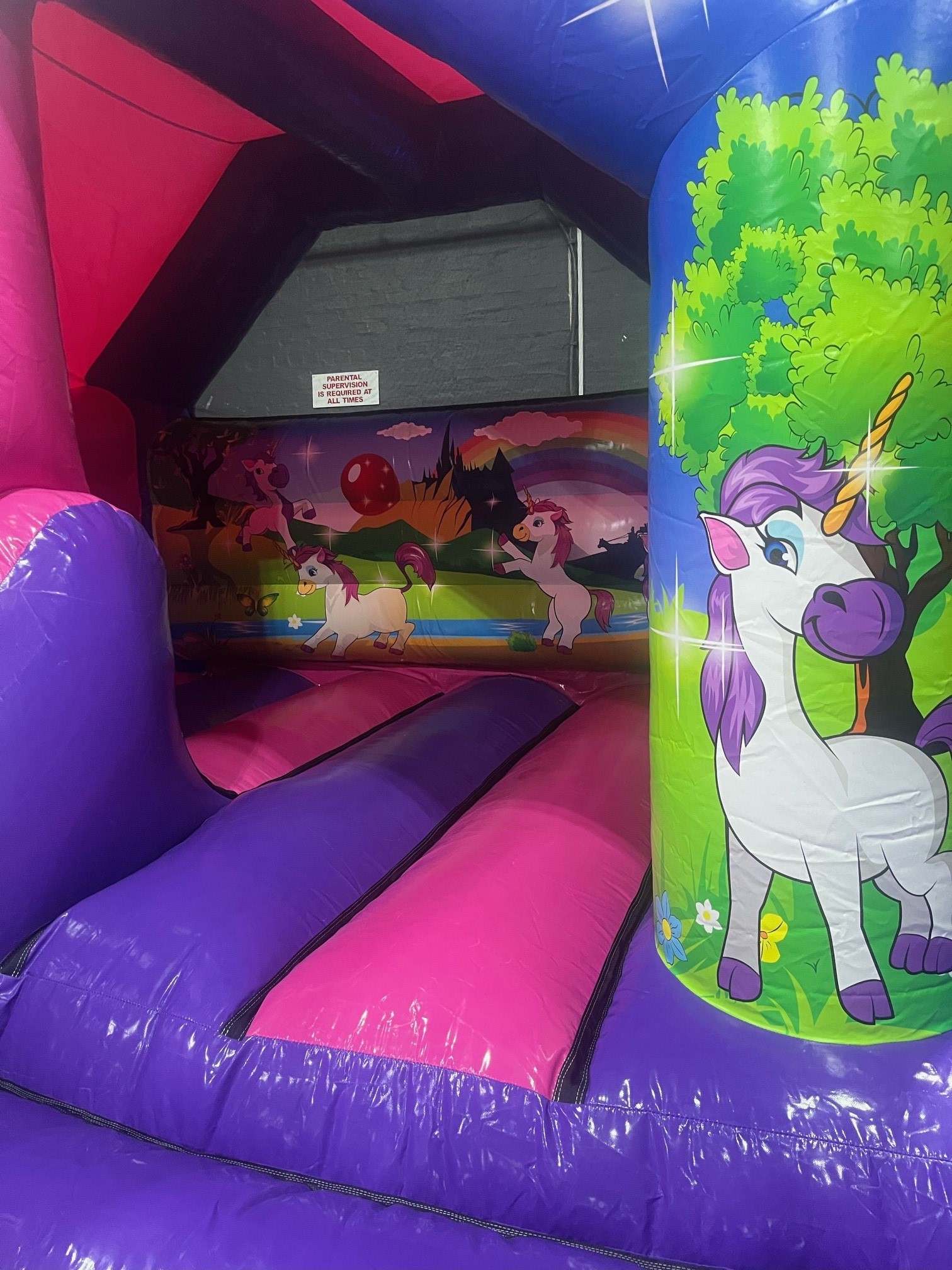 Unicorn Front Slide Combo - Bouncy Castle Hire in Kilmarnock, East ...