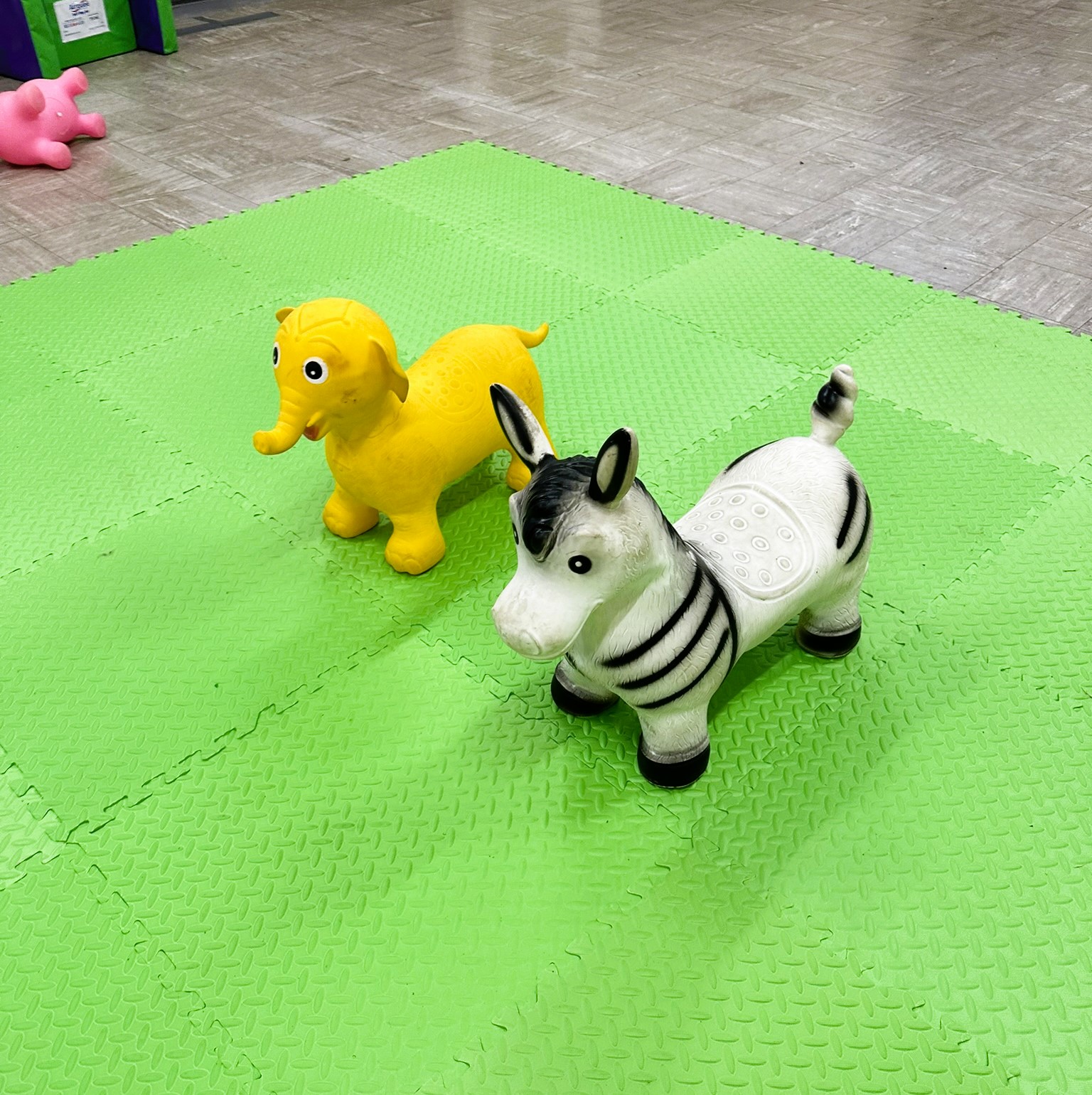 Jungle Animal Hoppers | Romford, Ilford, Essex & East London
