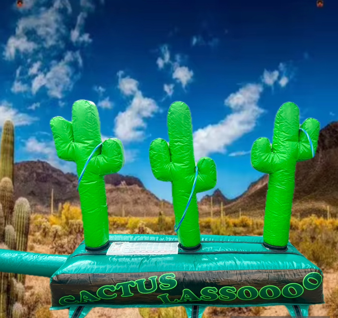 Cactus Ring Toss - Bouncy Castle Hire in Bromley Croydon South East ...