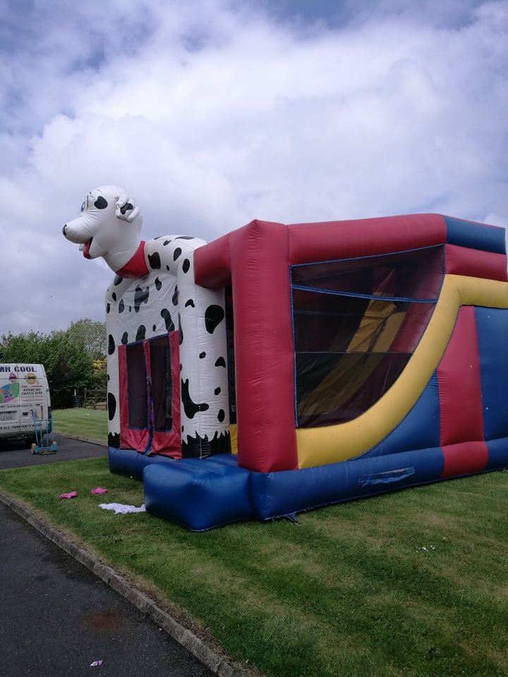 Puppy Castle - Ice-Cream van, Bouncy Castle Hire in Macroom ...