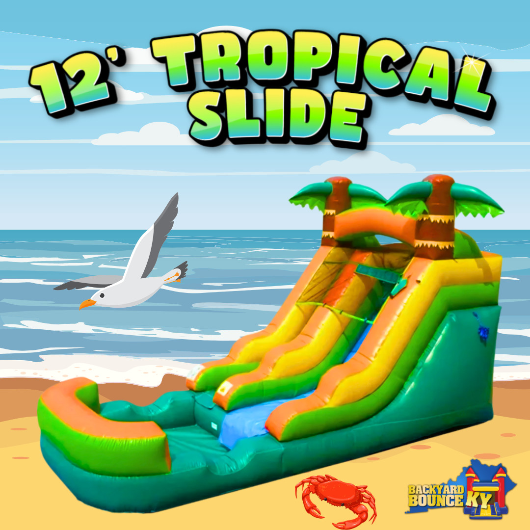 Water Slides & Water Inflatables - Bounce House Rentals & Water Slide ...