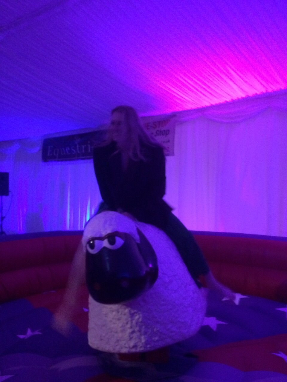 Rodeo Sheep hire - ice-rinks.co.uk in UK | Ice-rink Uk