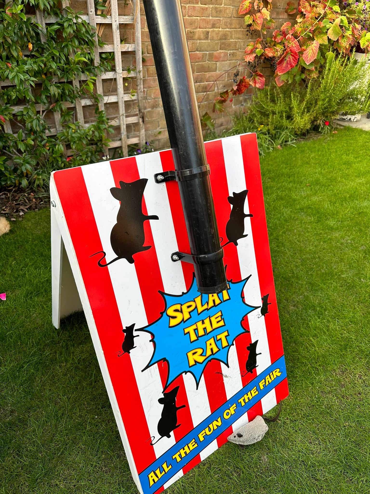 Splat the Rat Hire | Classic Game for Events