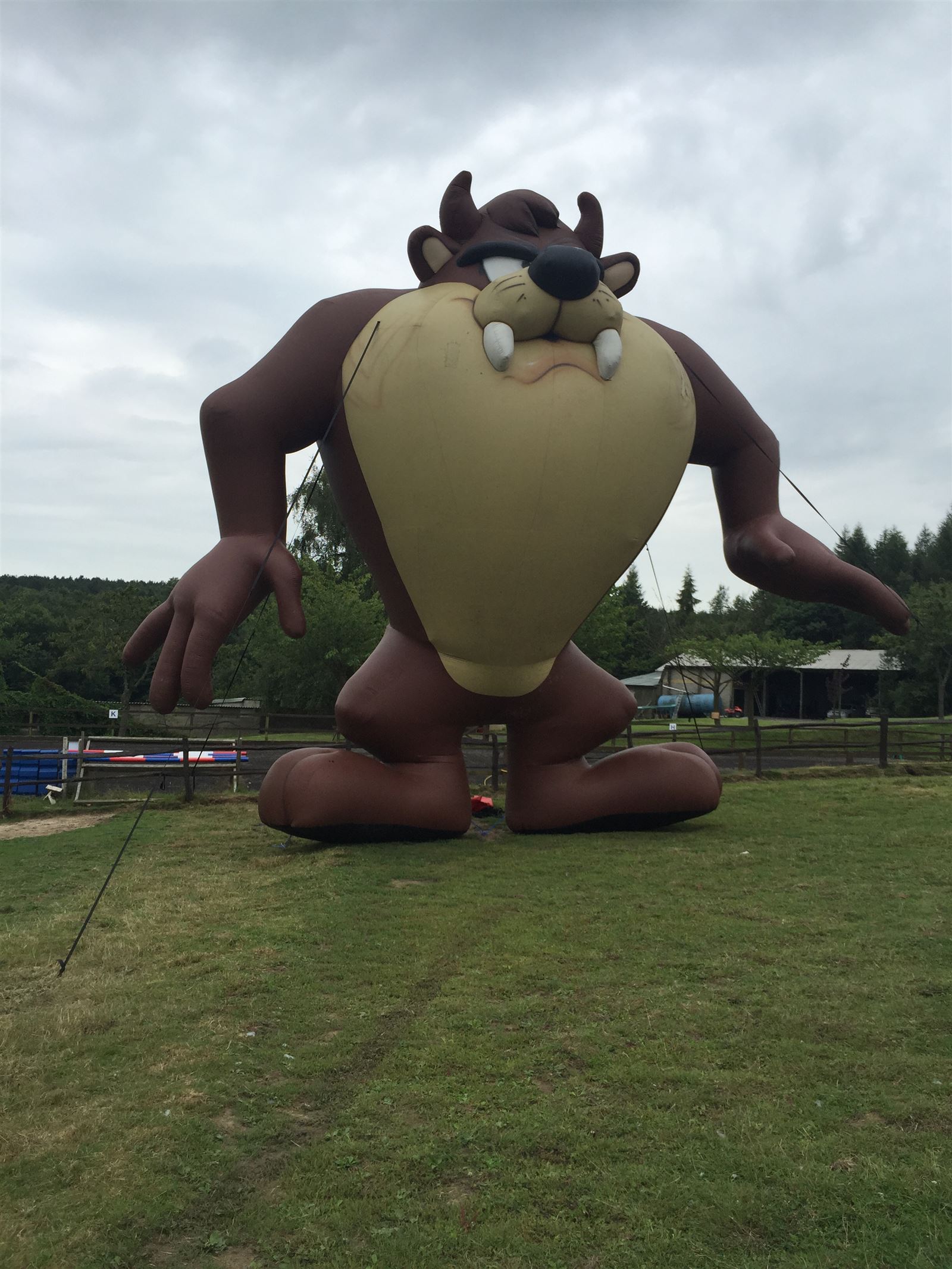 Tasmanian Devil Taz Inflatable 25ft High - Bouncy Castle Hire in Kent ...