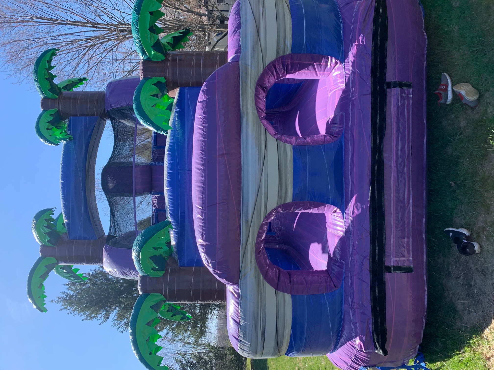 Purple Crush Dual Splash Down Slide | Pittsburgh & Hermitage