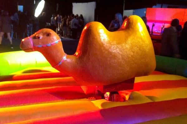 Camel Simulator Ride - Hire in UK | Simply The Best Events