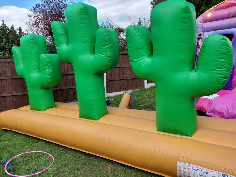 Inflatable Games Hire