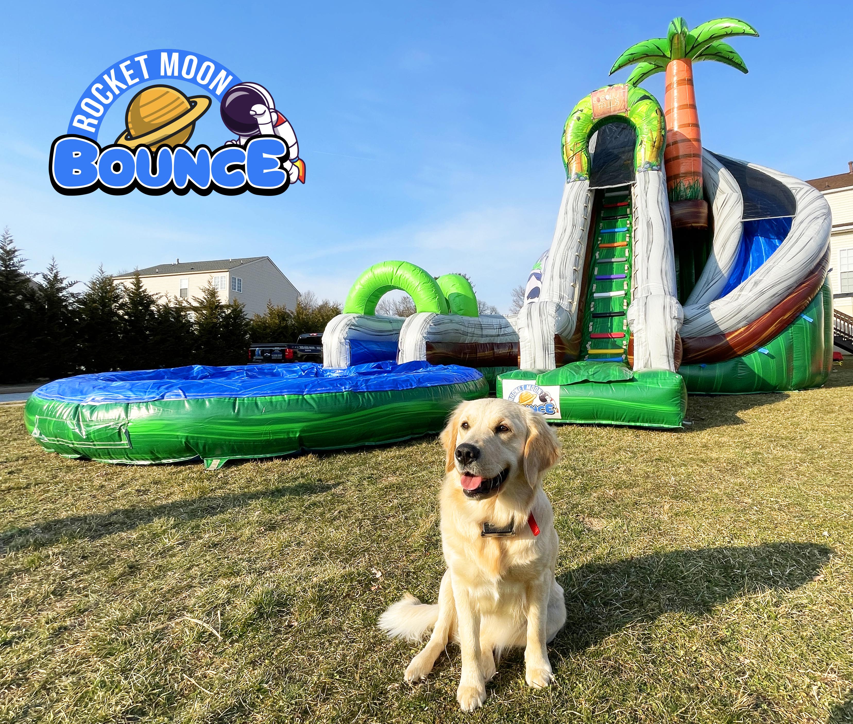 Coconut Falls Water Slide - Party Rental Company in Delaware in ...