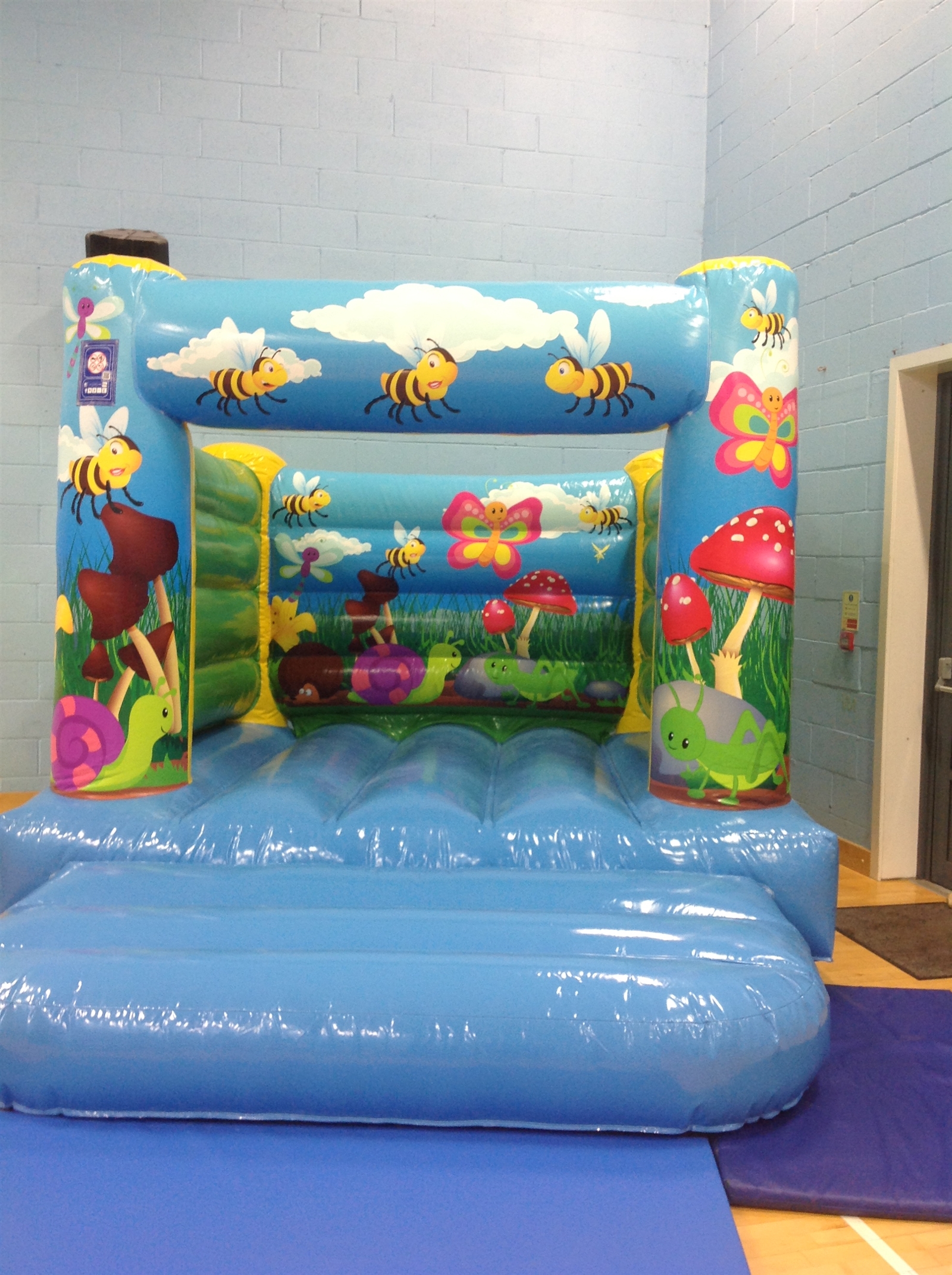 10' x 12' Bug bouncy castle. - Bouncy Castle Hire in Chichester & West ...