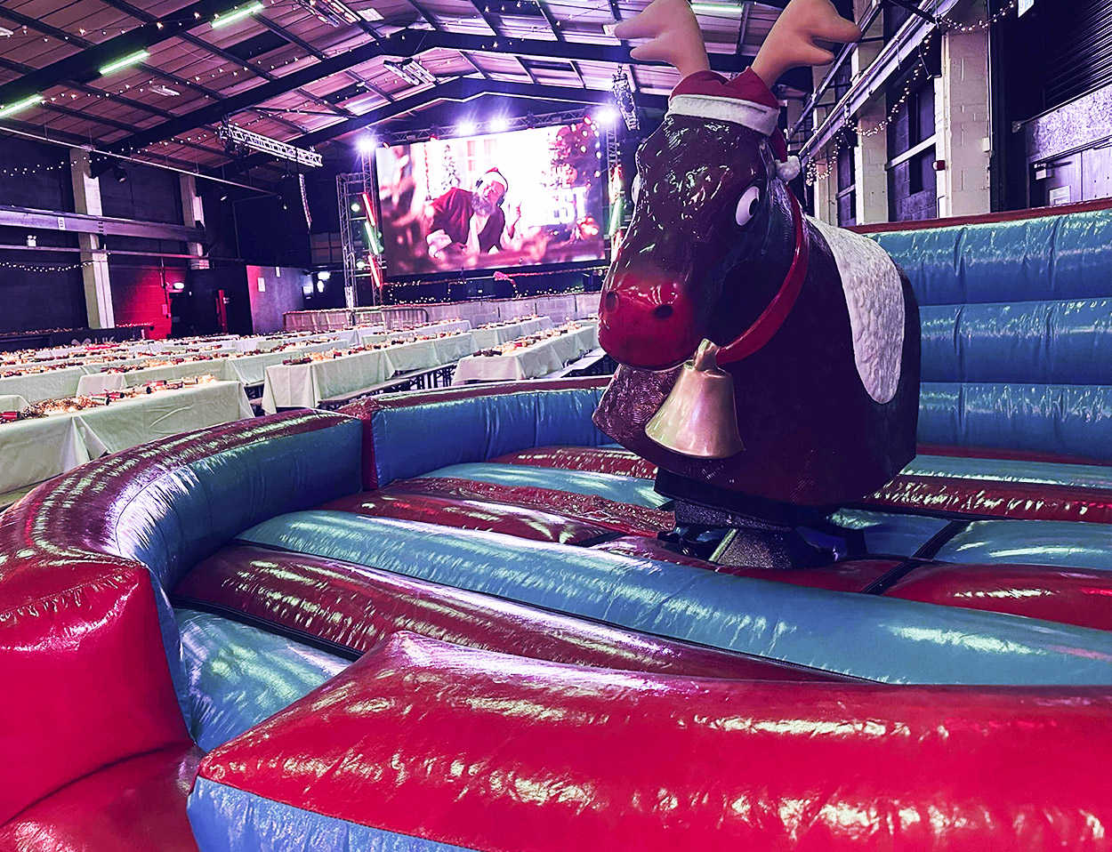 Rodeo Reindeer Hire | UK Entertainment Hire