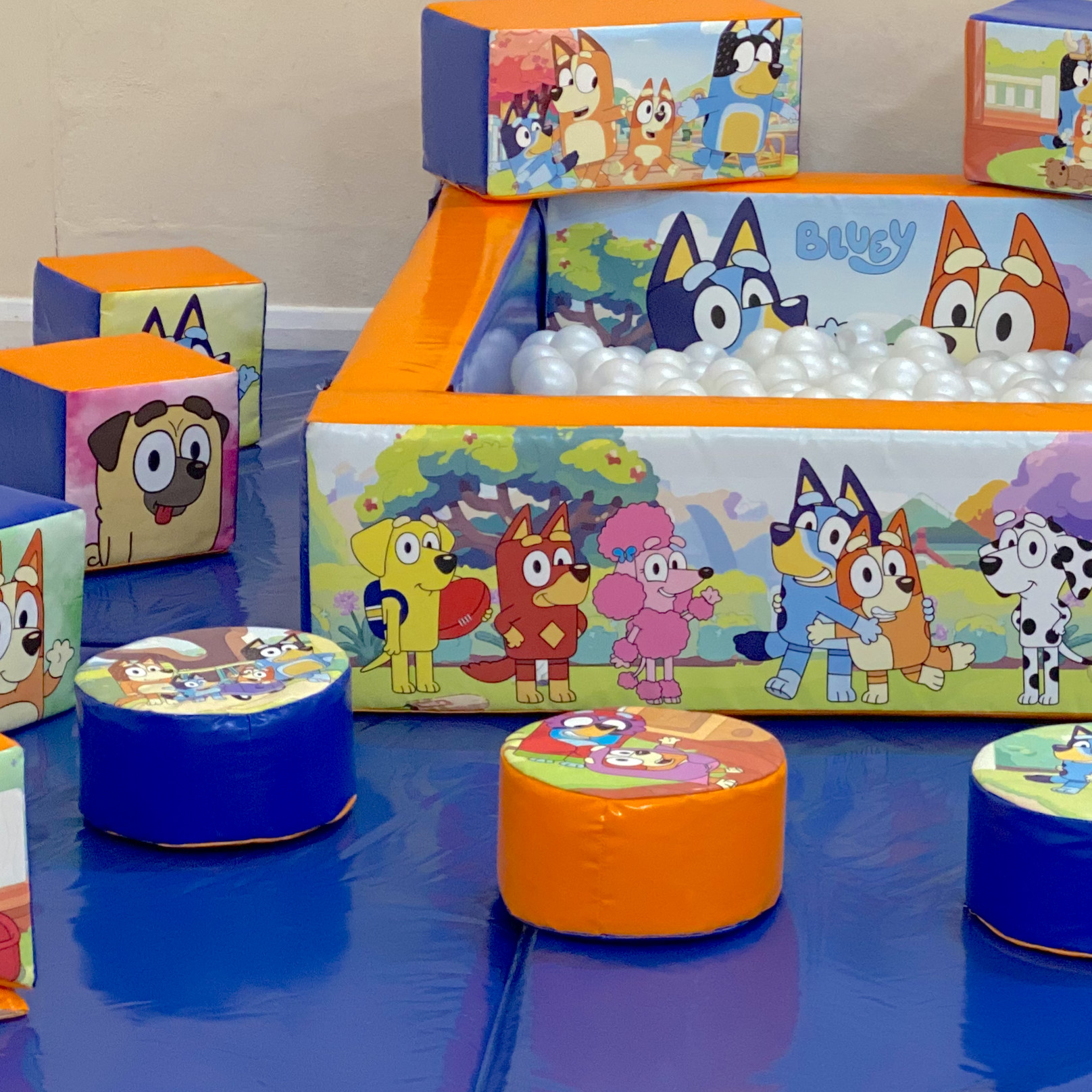 Bluey Soft Play Shapes & Ball Pit - Bouncy Castle Hire in Aylesbury ...