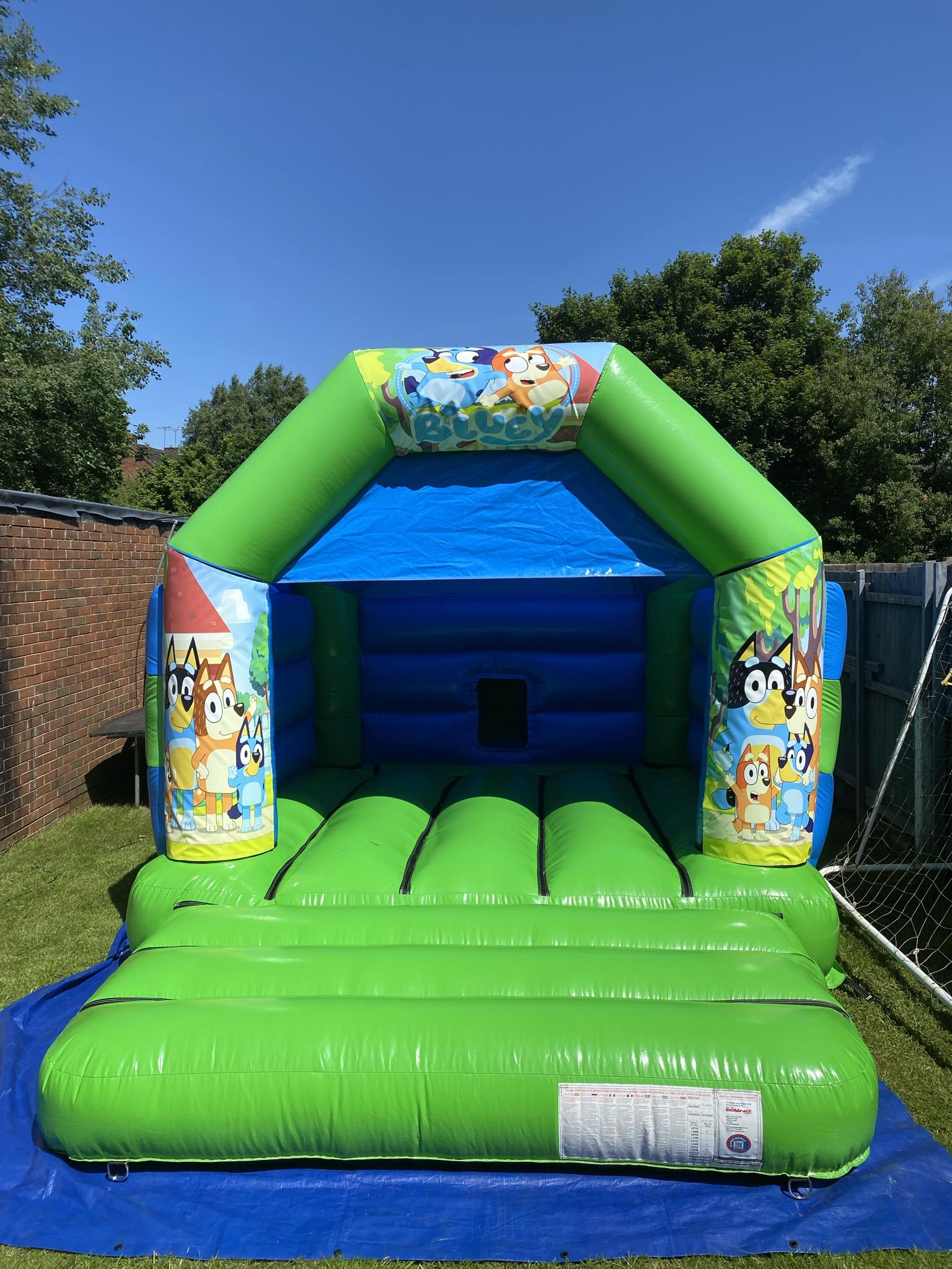 Blue/Green Bluey themed bouncy castle - Bouncy castle hire in Coventry ...