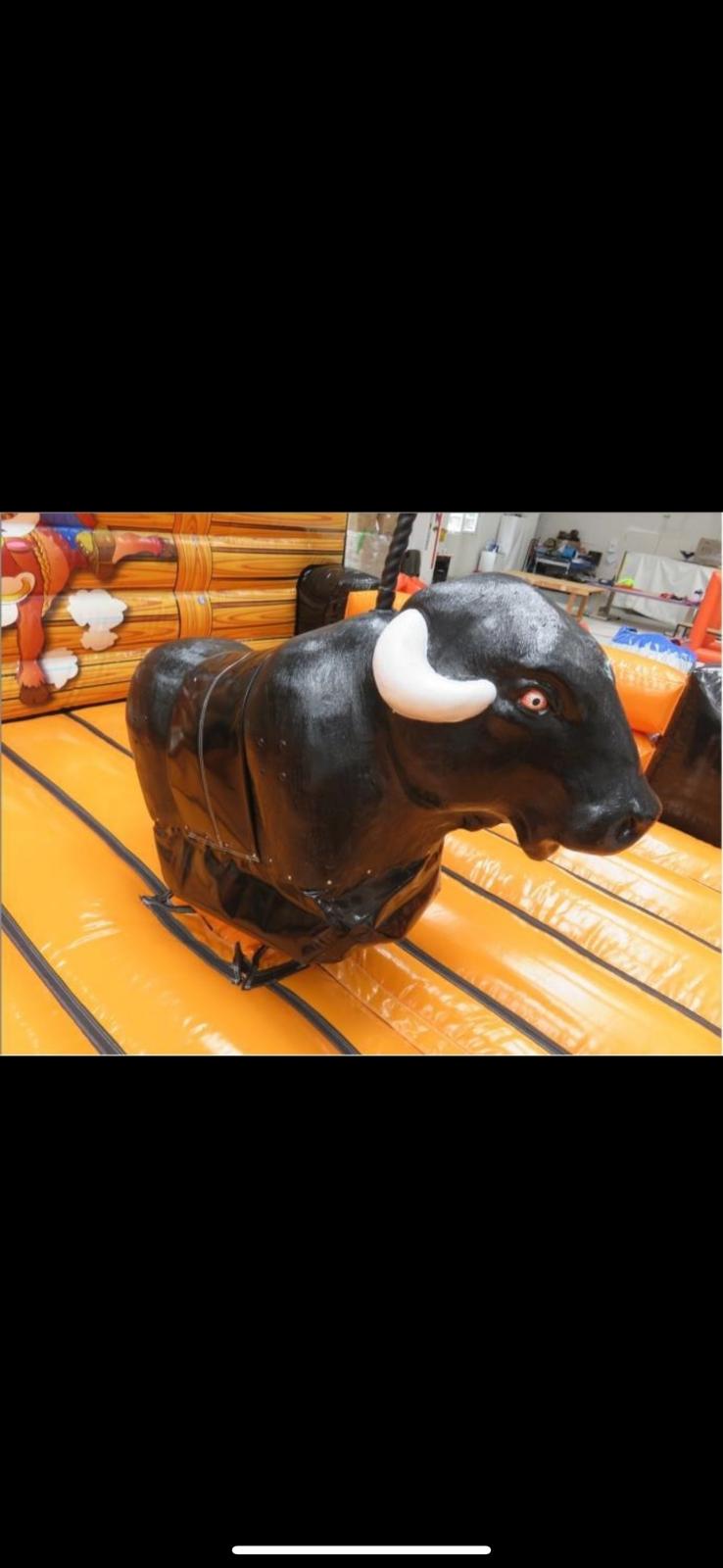 Rodeo Bull Hire Manchester, Rodeo Bull Rental, Stockport, Bury