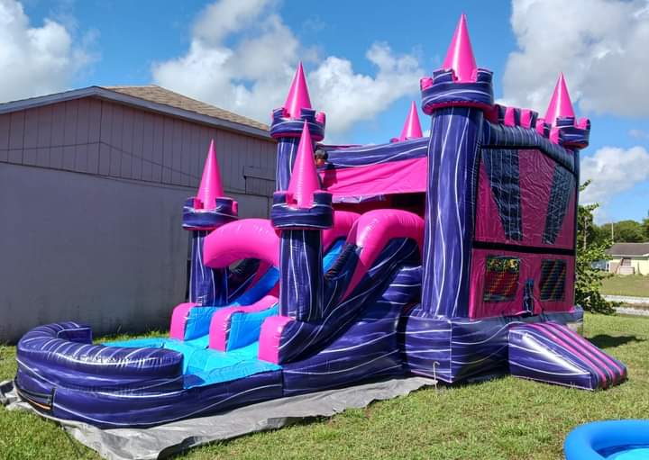 Pink Bounce House with Dual Lane Slide - Inflatable rentals in FL ...