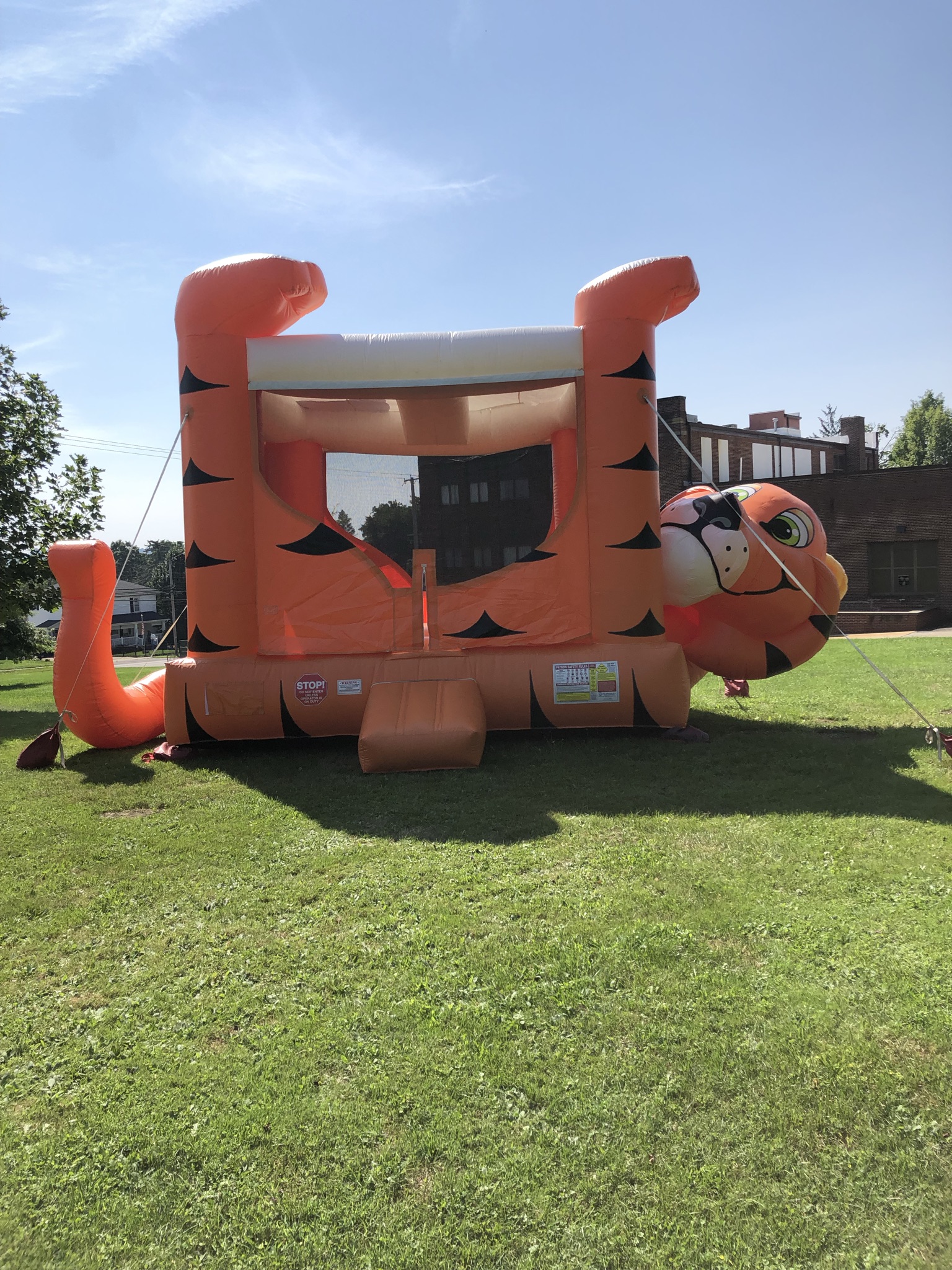 Tiger Belly - Cleveland's Premier Party Inflatable Rental Service in Ohio
