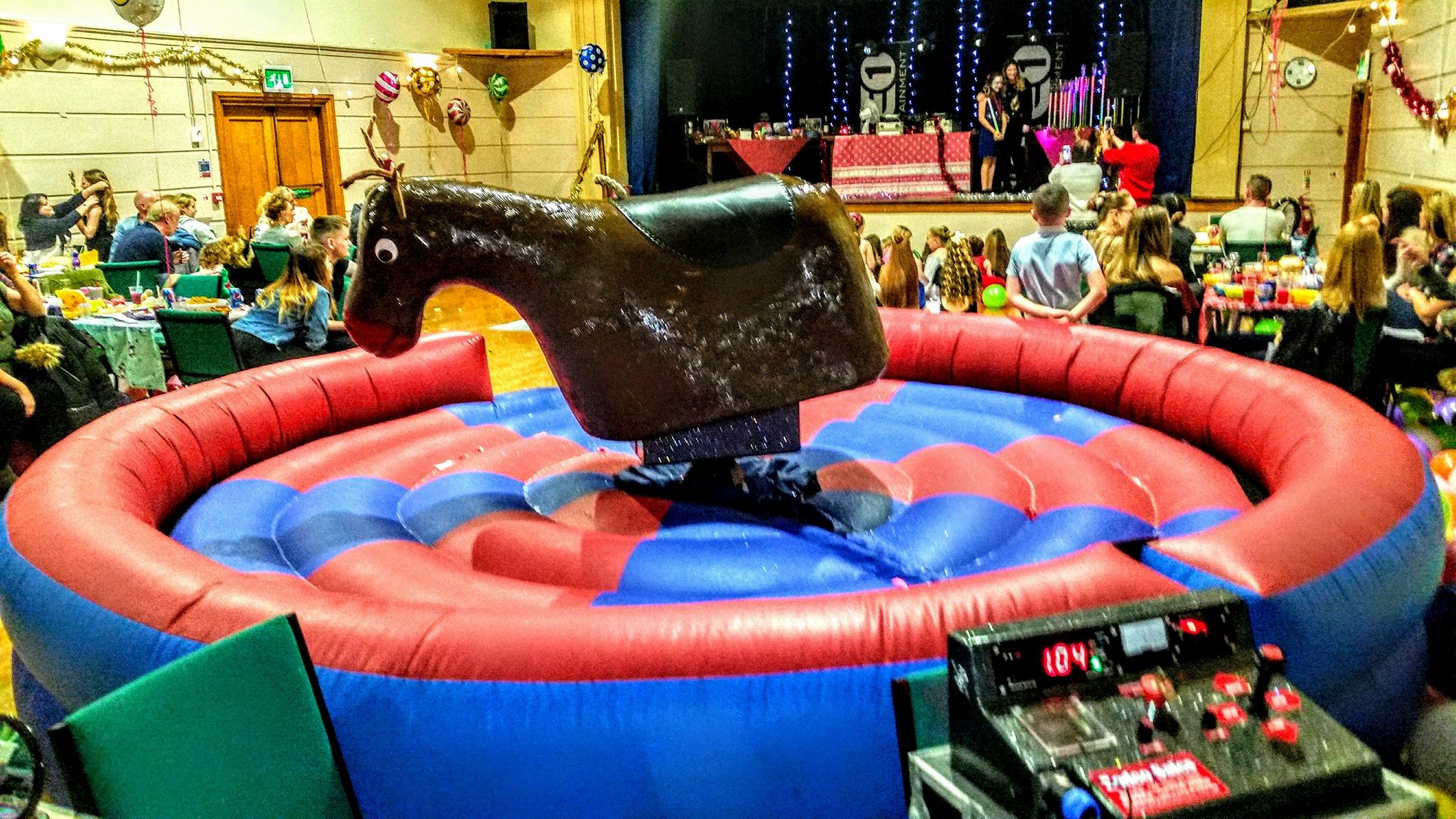 Rodeo Reindeer Hire | Swansea, Pembroke, Carmarthen, Wales
